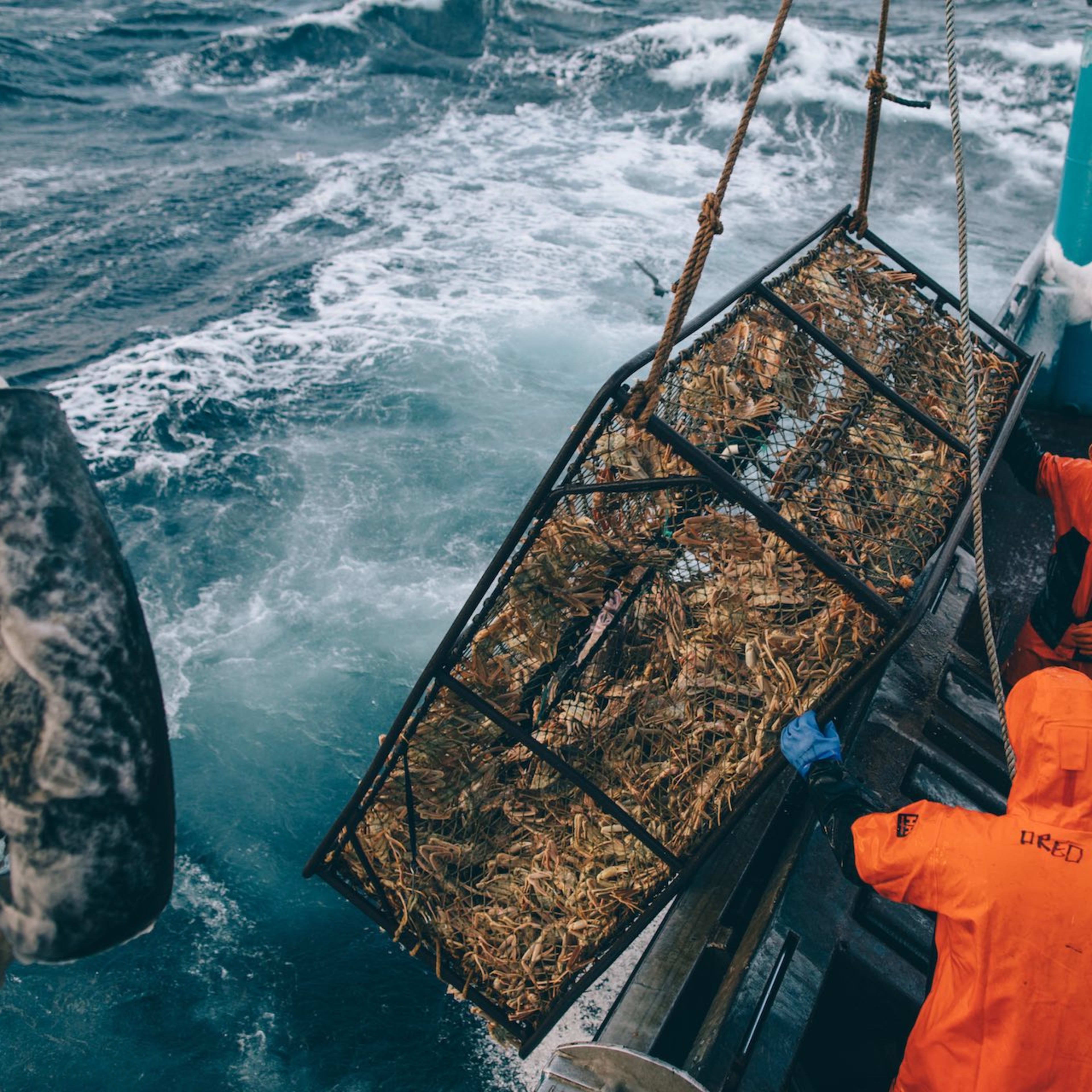 Meet Doug Seus, the Bear Whisperer Who Trains and Protects Grizzlies ...