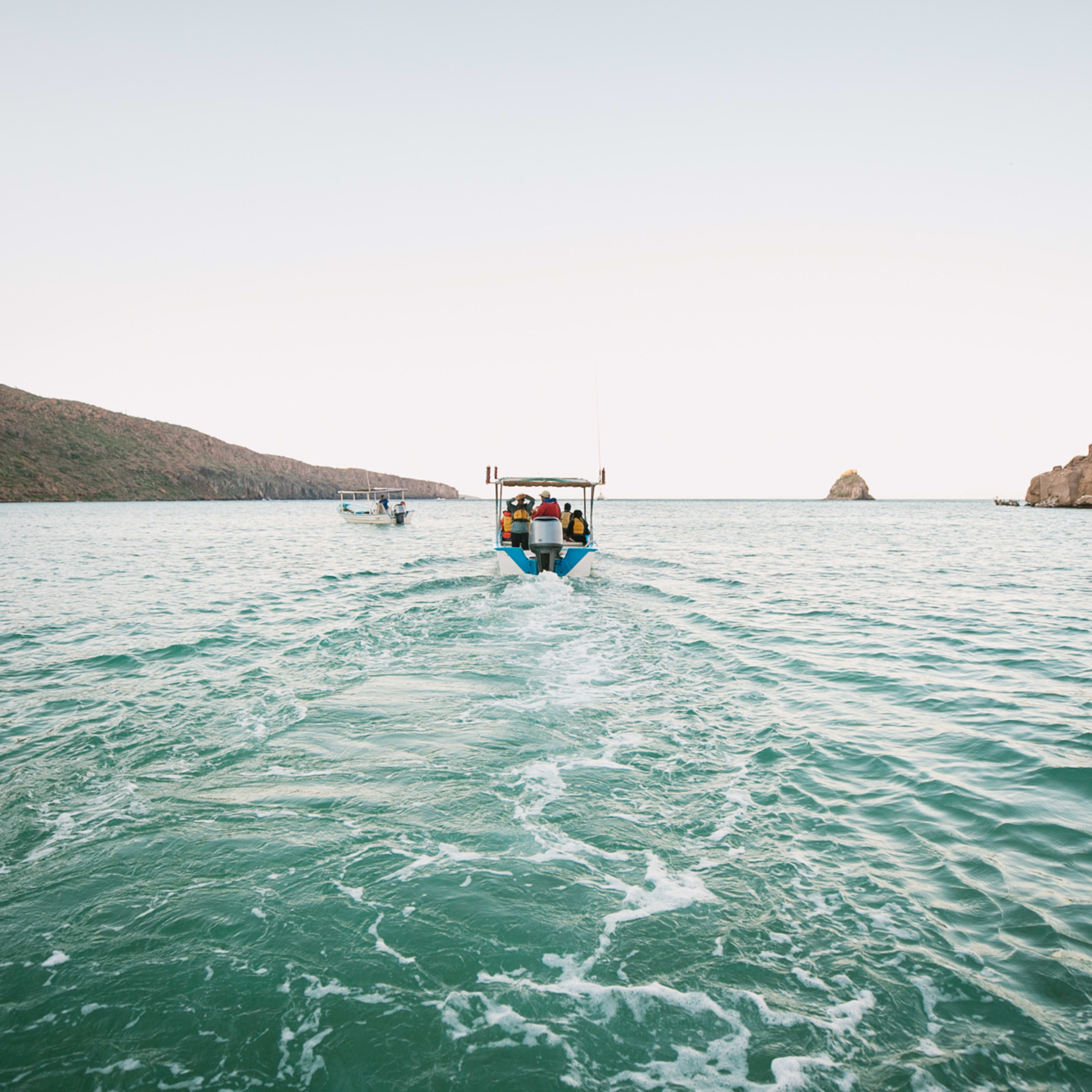Meet Doug Seus, the Bear Whisperer Who Trains and Protects Grizzlies ...