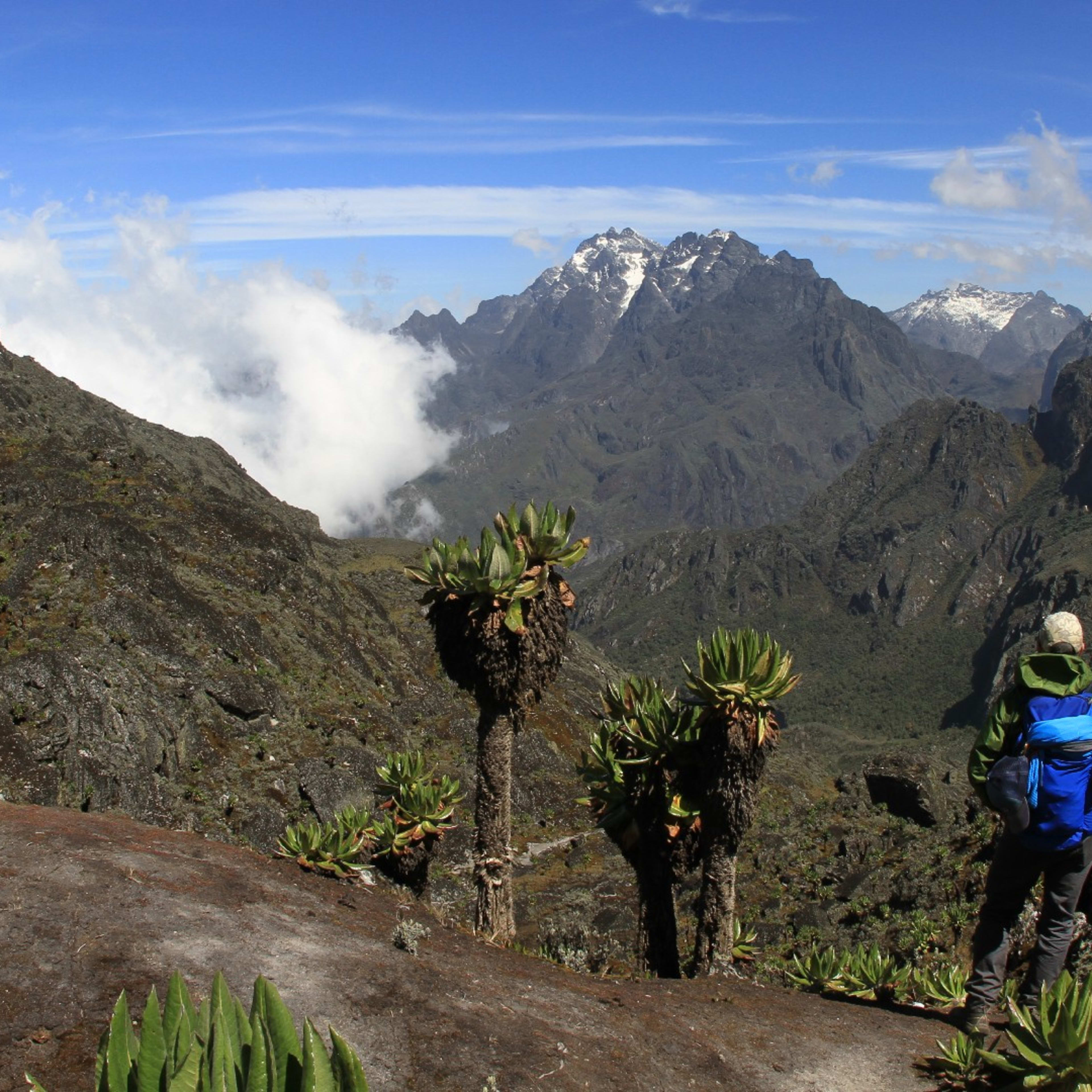 'Outdoors Boys' Dad Luke Nichols Quits Beloved YouTube Channel - Men's ...