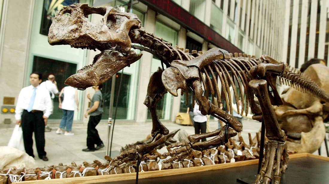 New Fossil Suggests Humans Didn't Originate in Africa - Men's Journal
