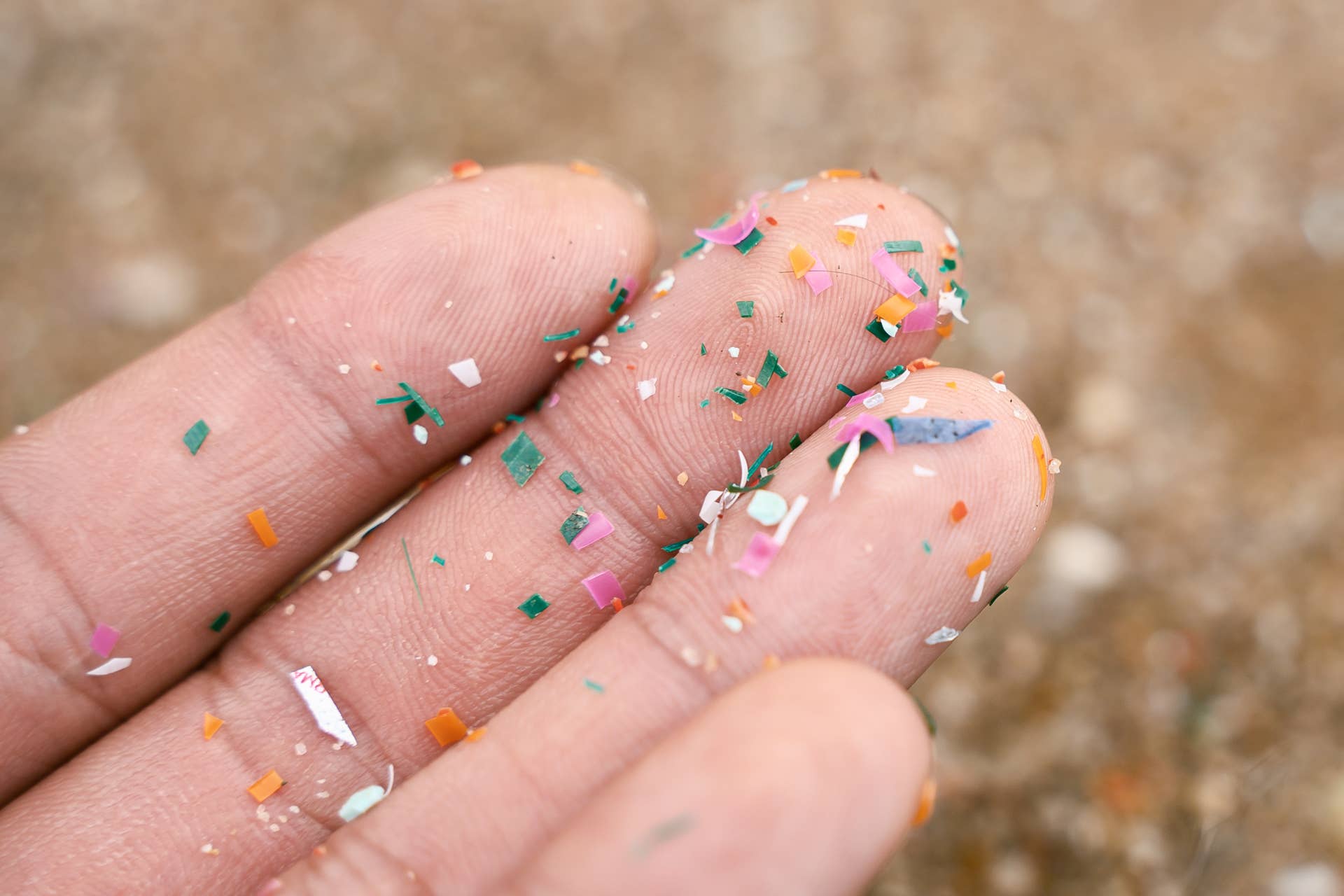 Microplastics Found in Brain Can Affect Our Sense of Smell, Study Finds ...