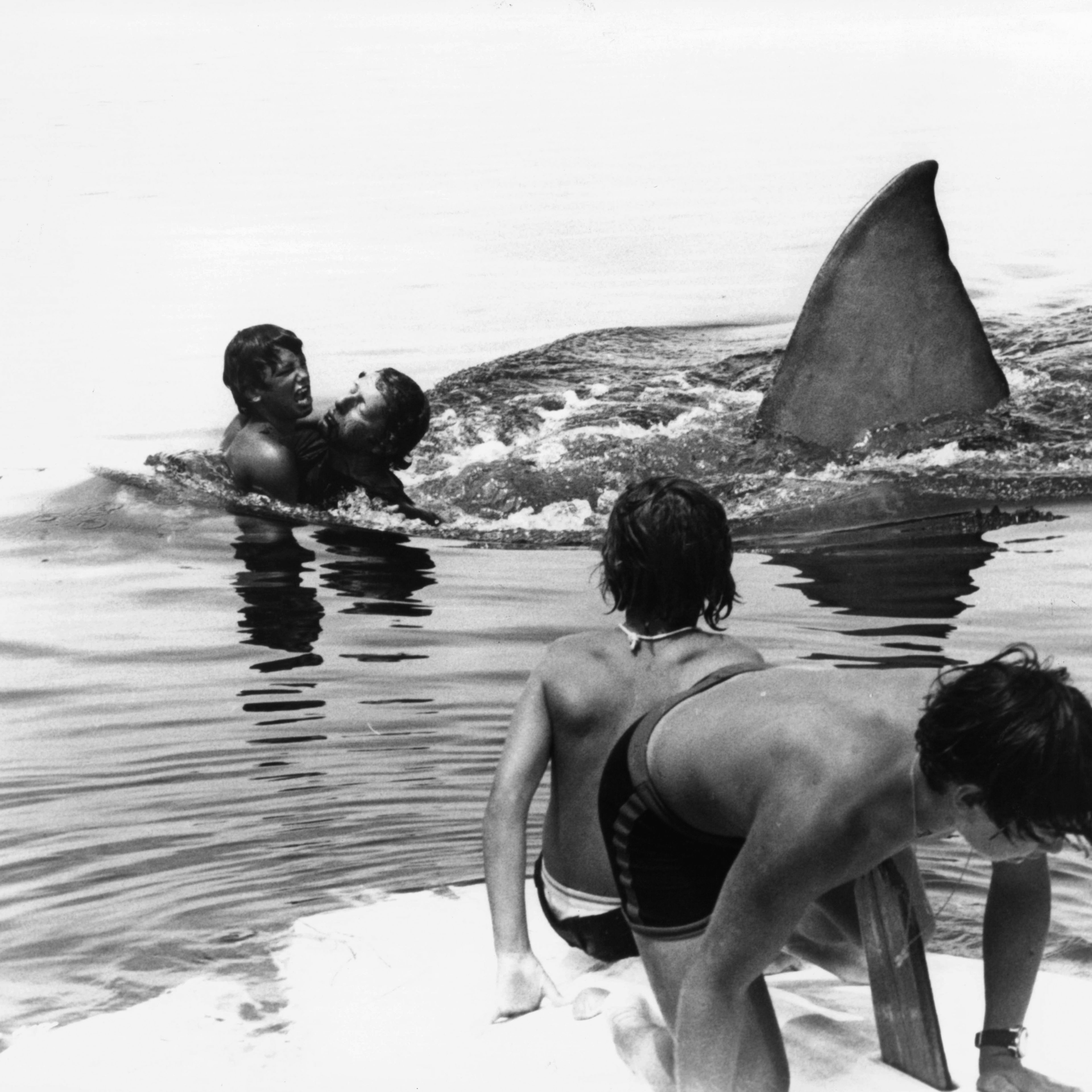 Steven Spielberg Reveals Surprising Way He Celebrated ‘Jaws’ 50th ...