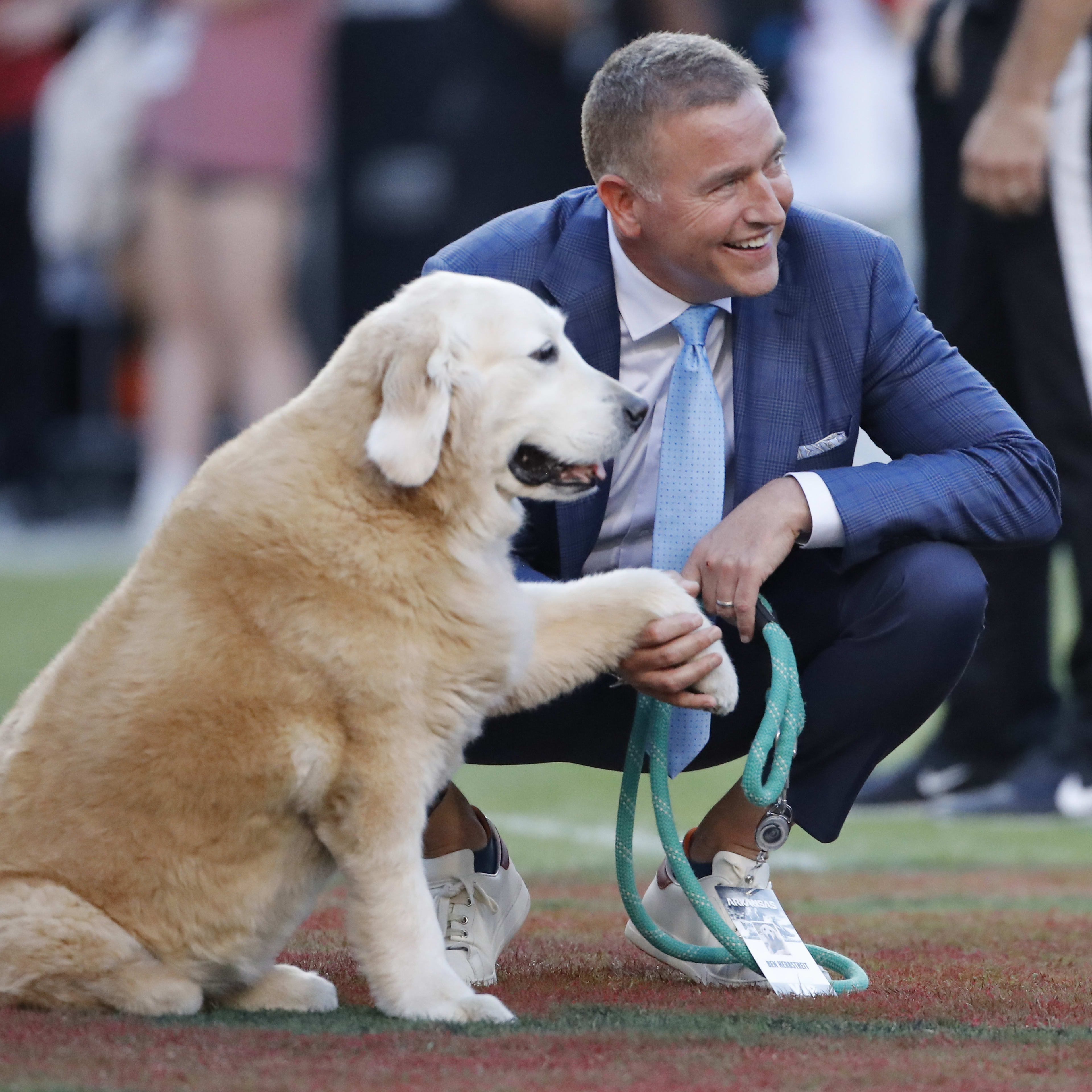 Chamelo Music Shield Sunglasses, Tested and Reviewed - Men's Journal