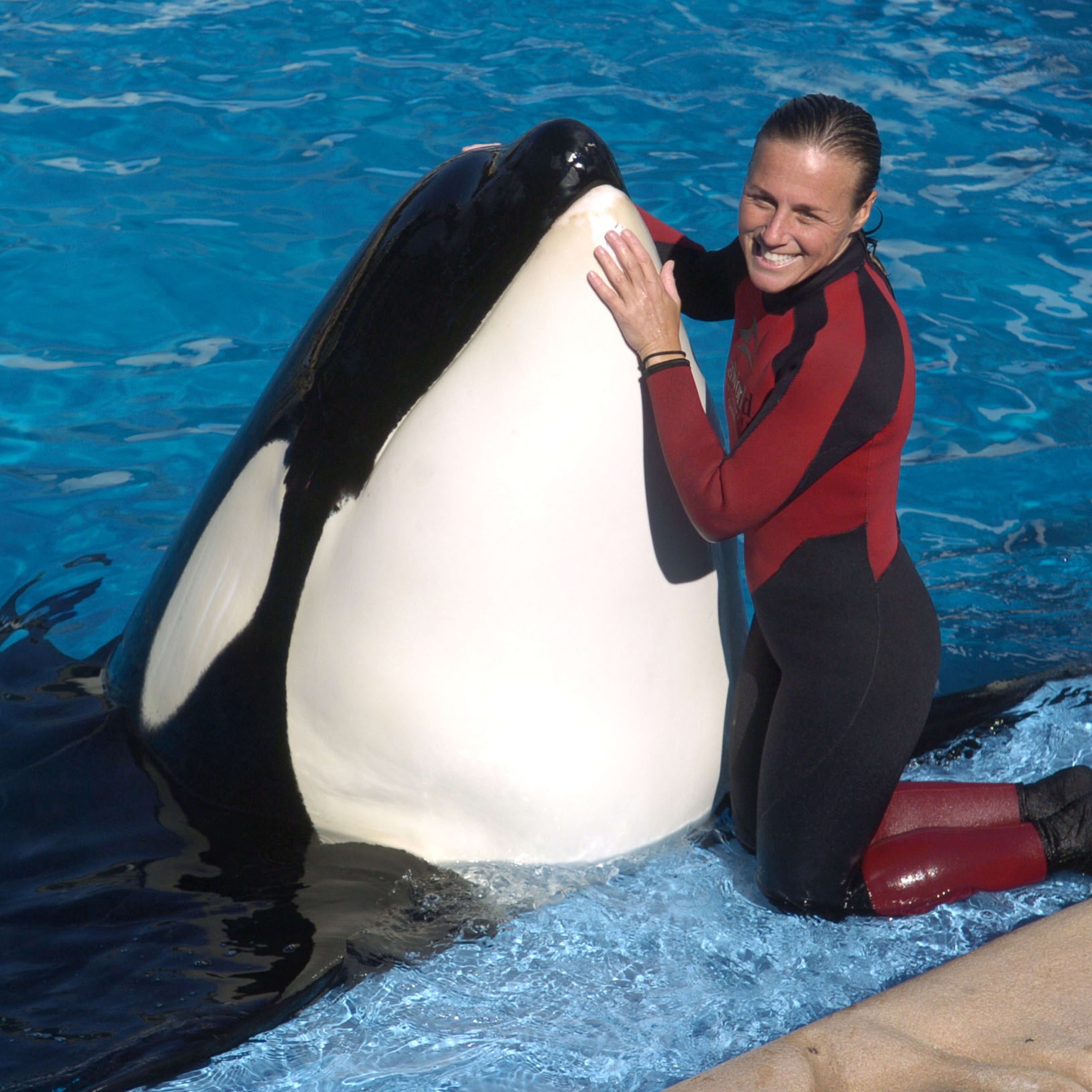 Was Trainer 'Jessica Radcliffe' Killed in an Orca Whale Attack? The ...
