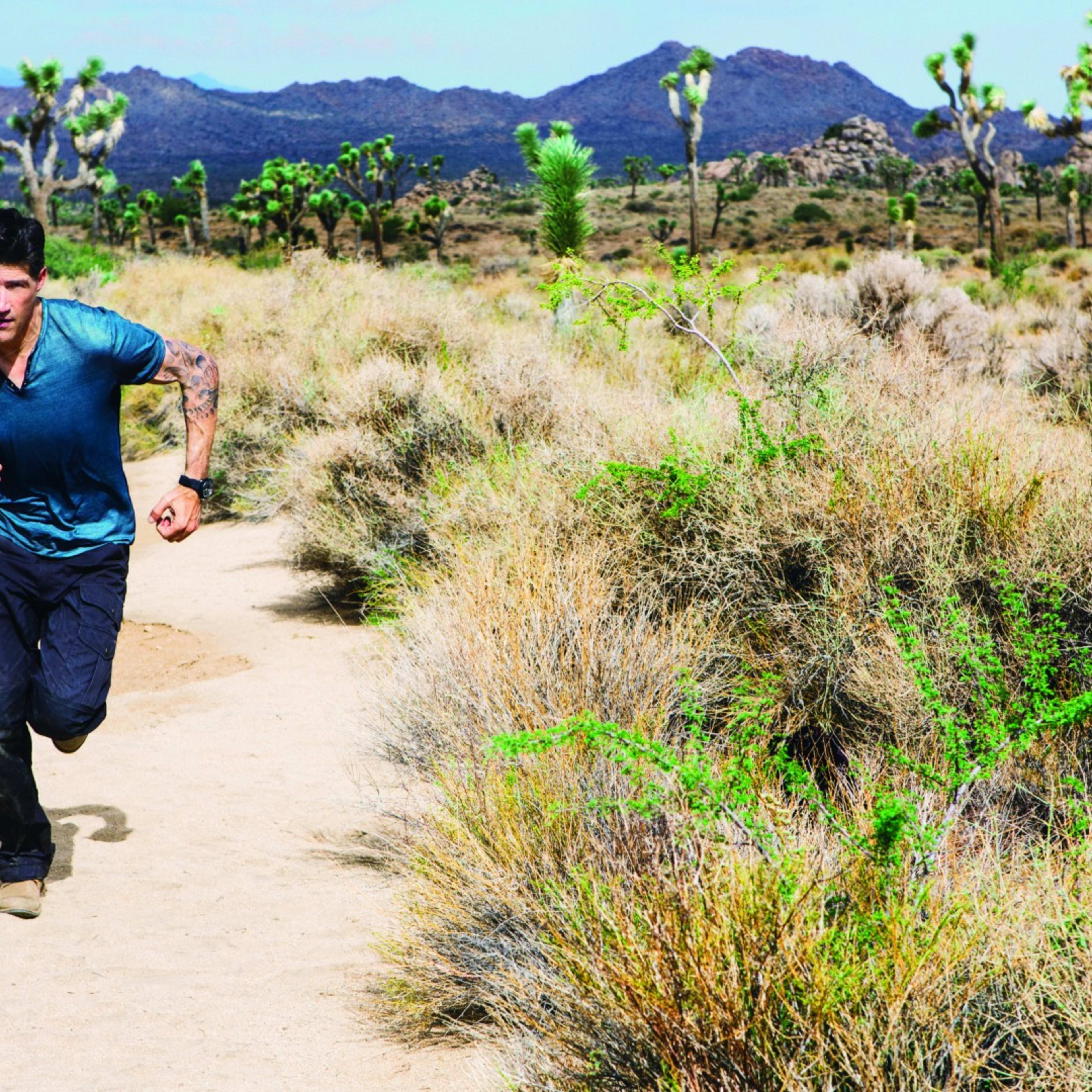 Best StairMaster Workout for Every Fitness Level - Men's Journal