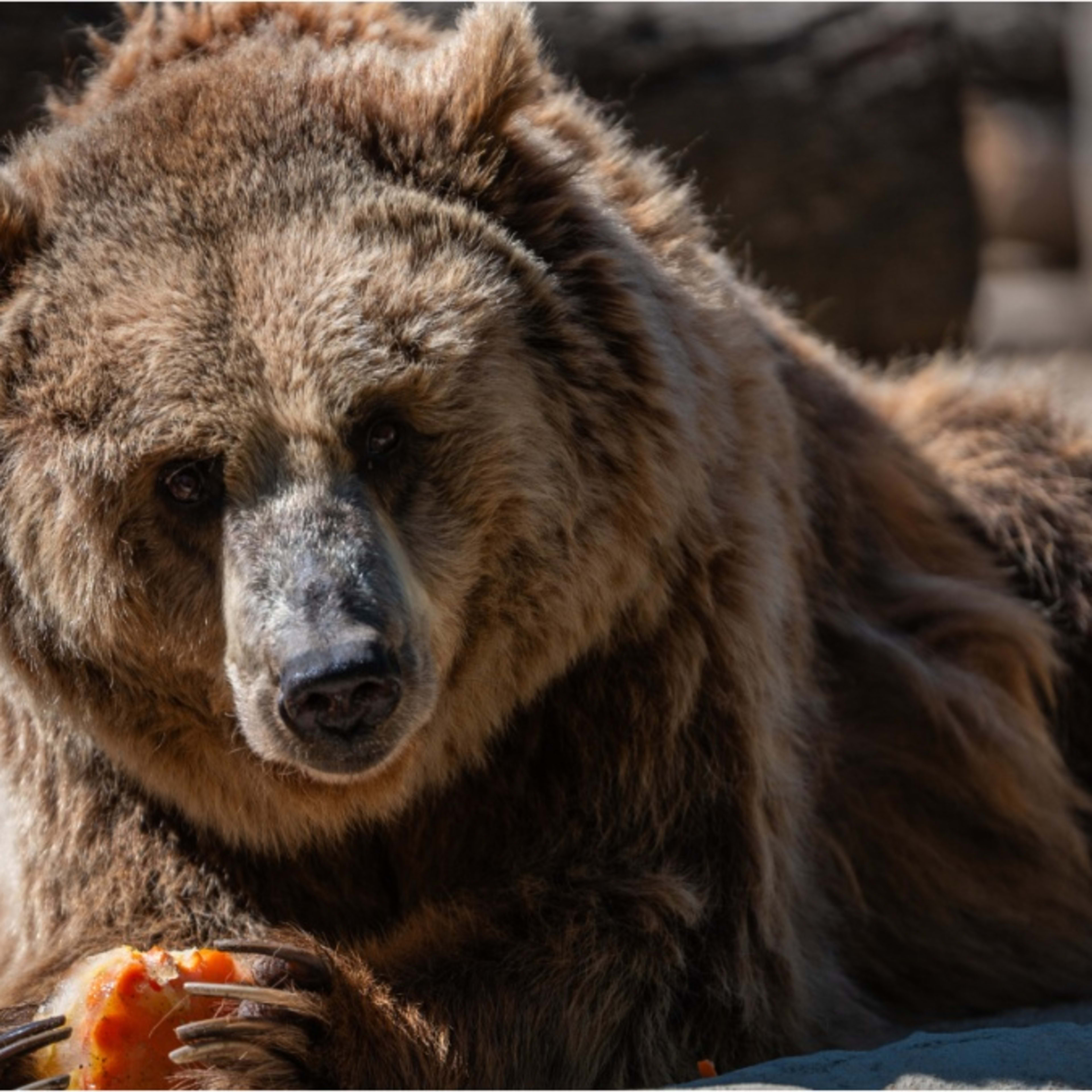 What Happens to Your Body When You Get Kicked in the Groin - Men's Journal