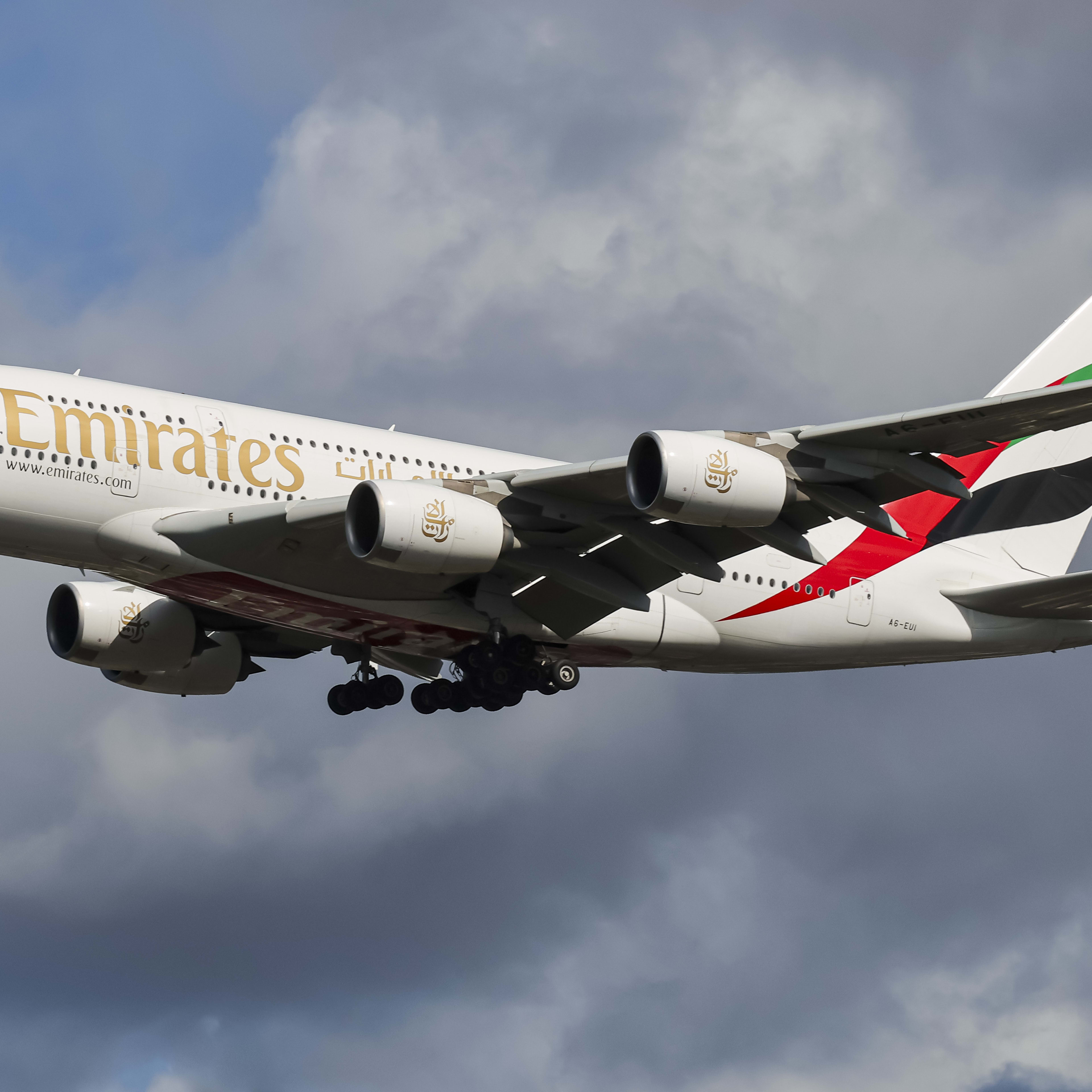 Amanda Anisimova Dating History: Is She Married or Single? - Men's Journal