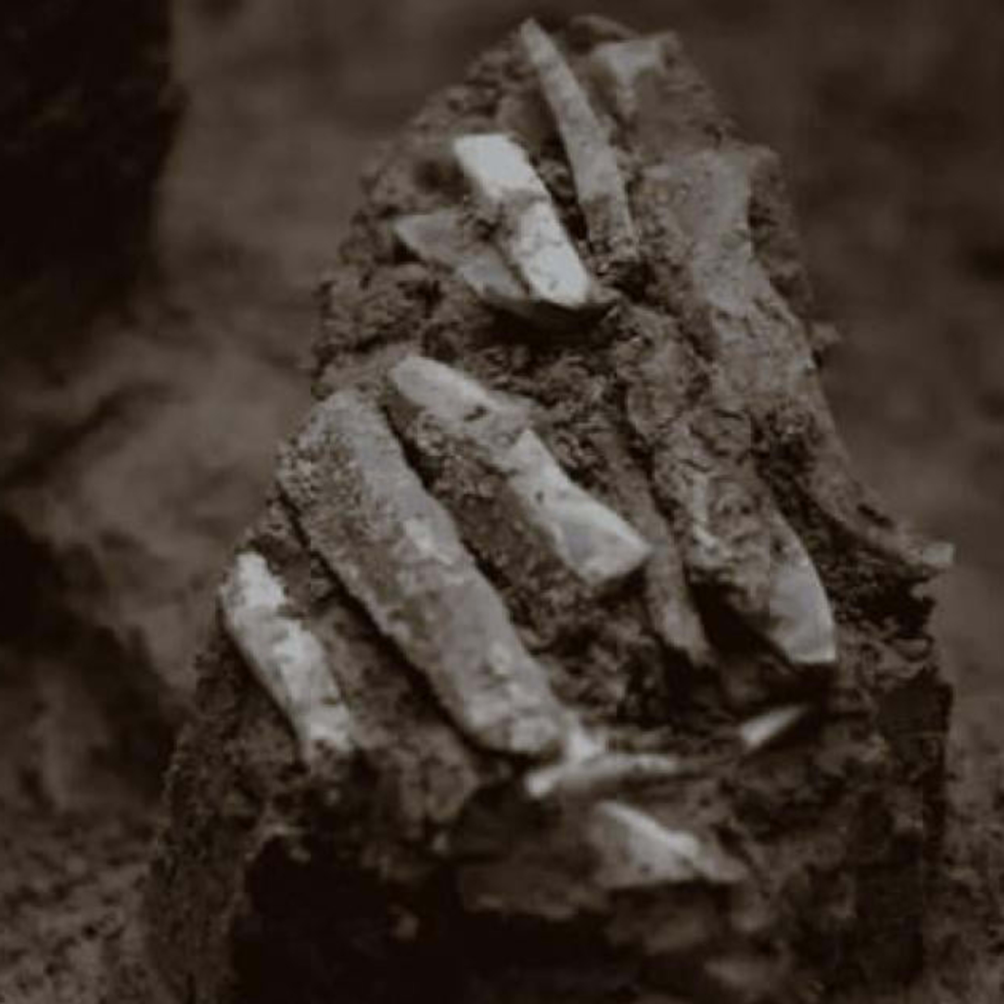 10 Best Workout Shirts for Men of 2025 - Men's Journal