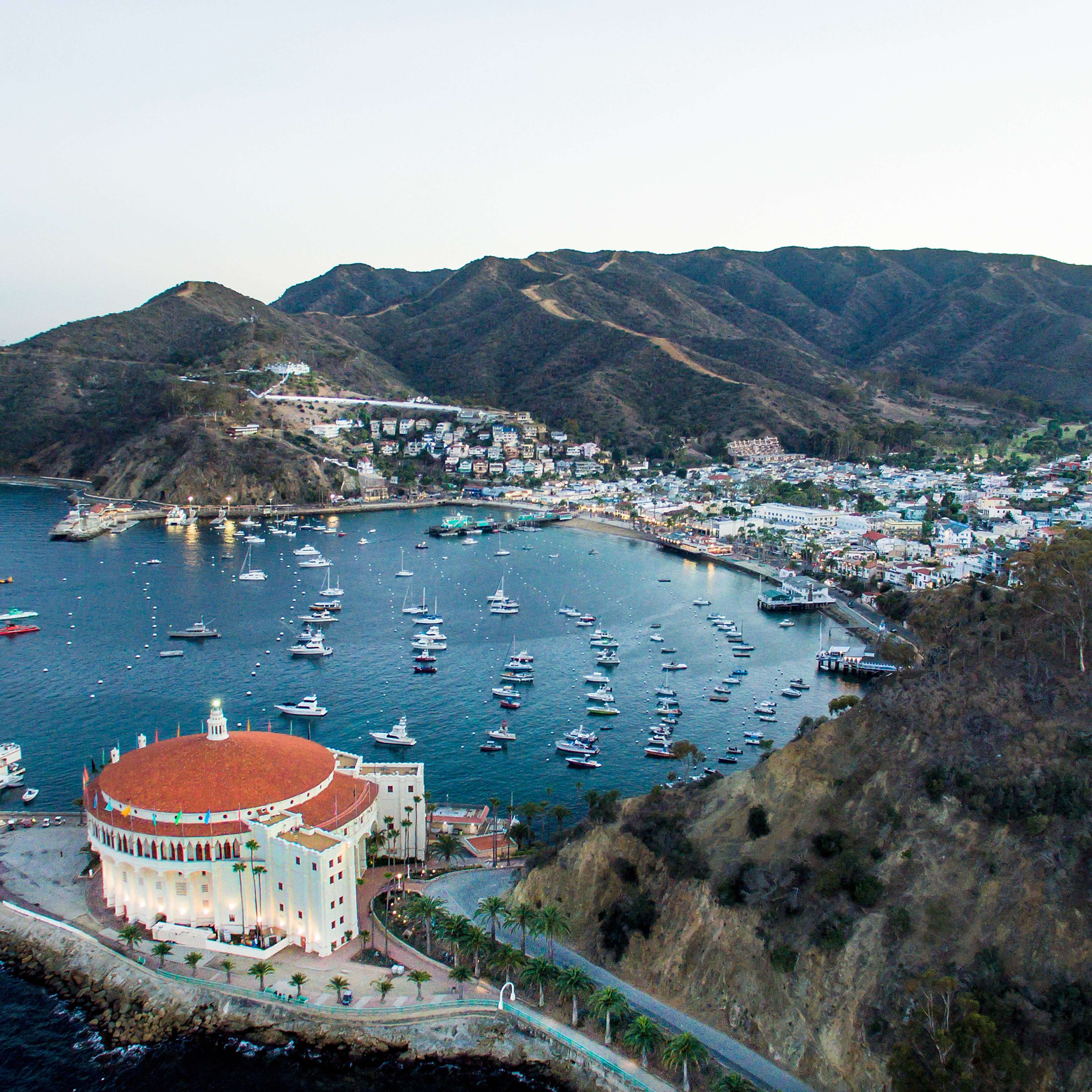 Devon Sawa Reunites With Eminem 25 Years After Starring in 'Stan' Music ...