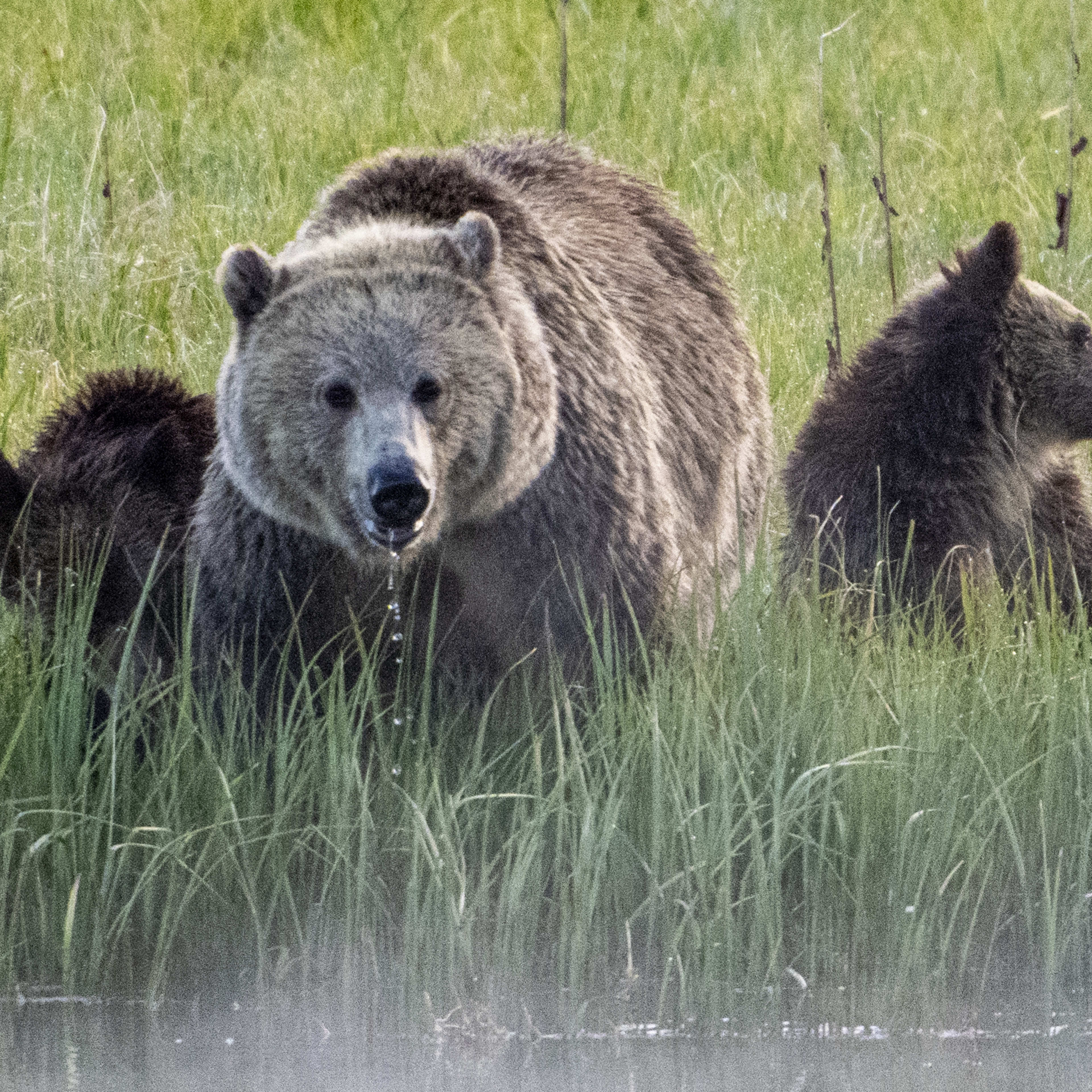 10 Scientifically Proven Ways to Build Muscle Faster - Men's Journal