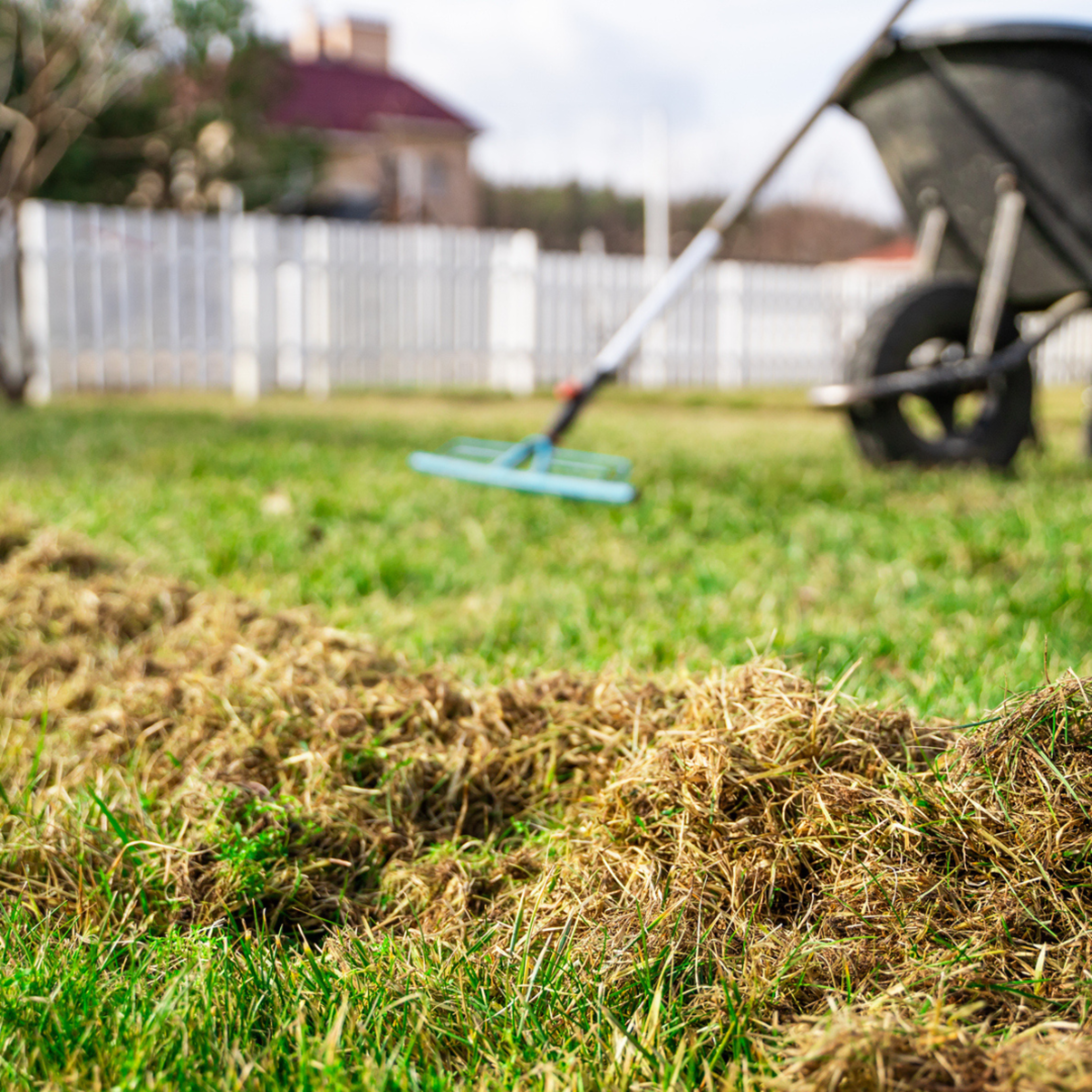 23 Best Kettlebell Exercises for Total-Body Strength - Men's Journal