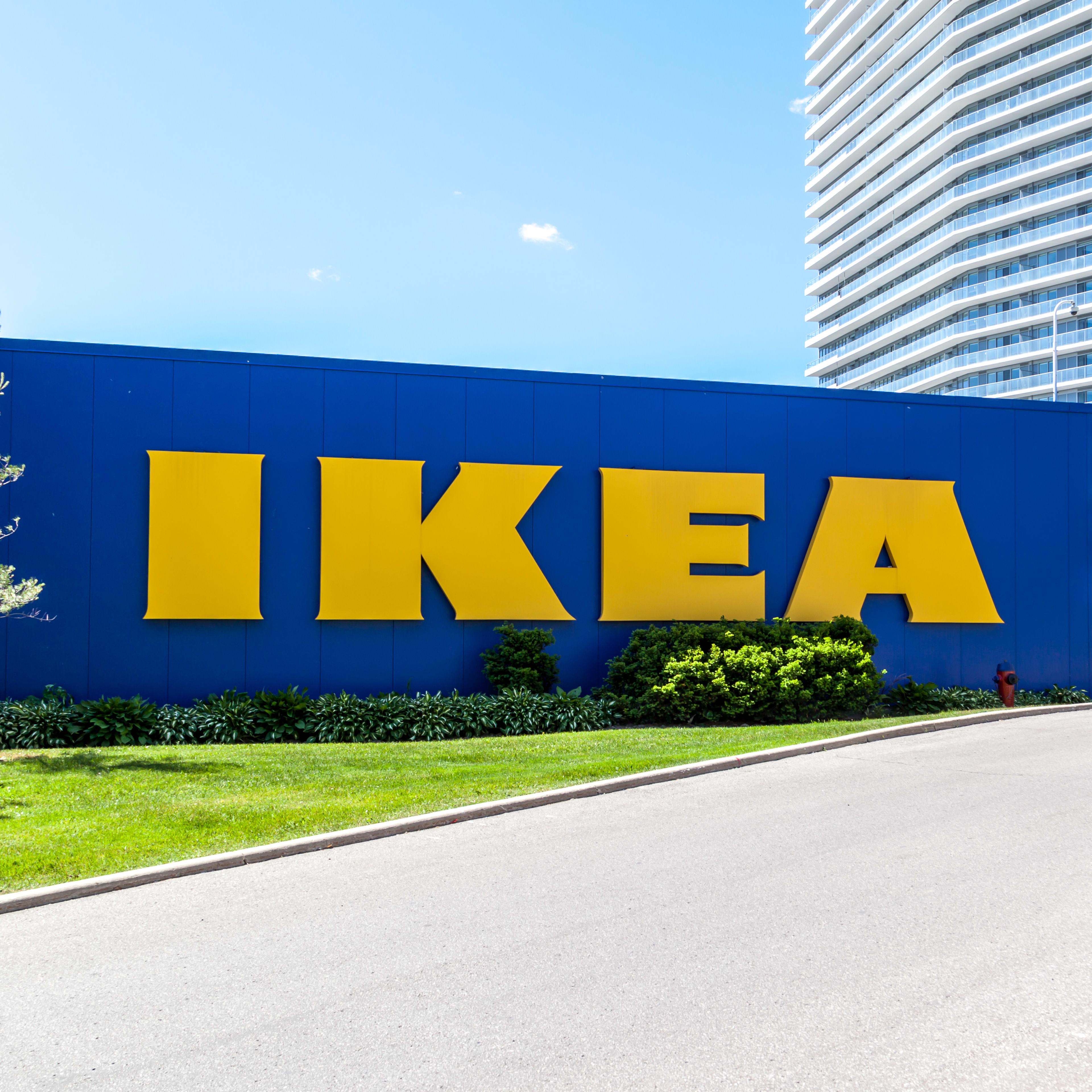 Costco's 'Outstanding' Blackstone Griddle Is a Must-Have - Men's Journal