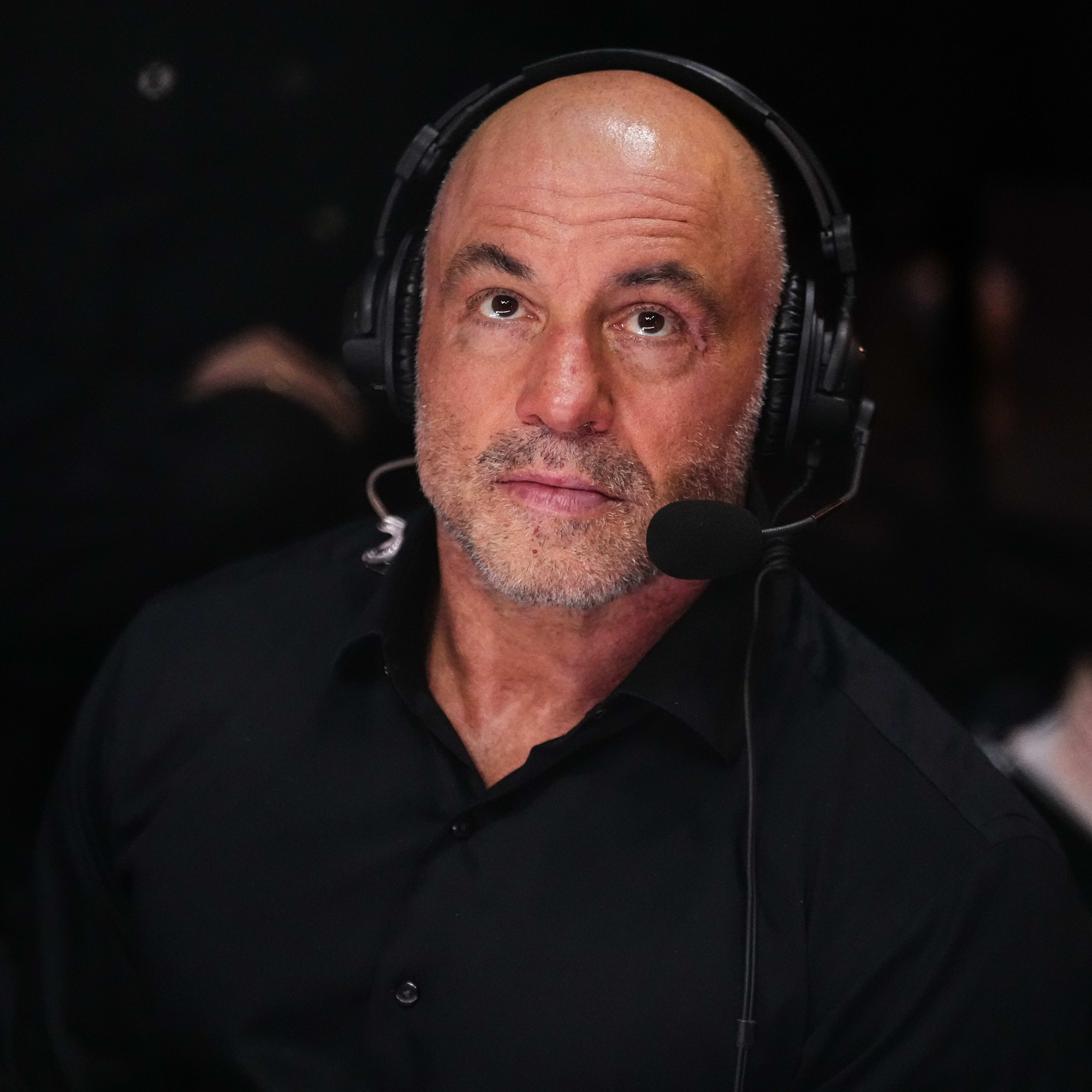 Scientists Announce Breakthrough in Race to Cure Men's Baldness - Men's ...