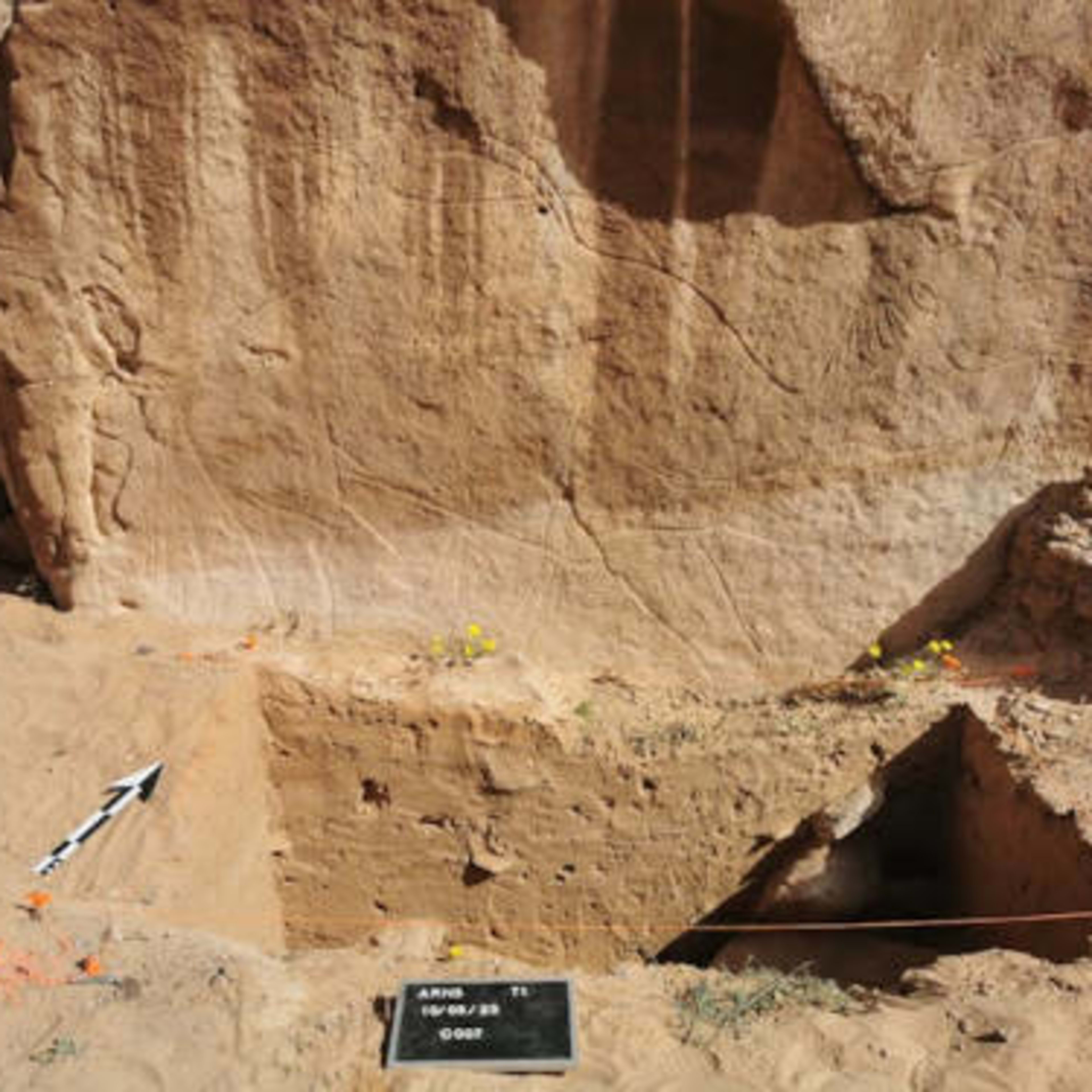 Kroger Expands Simple Truth with Protein-Packed New Items - Men's Journal