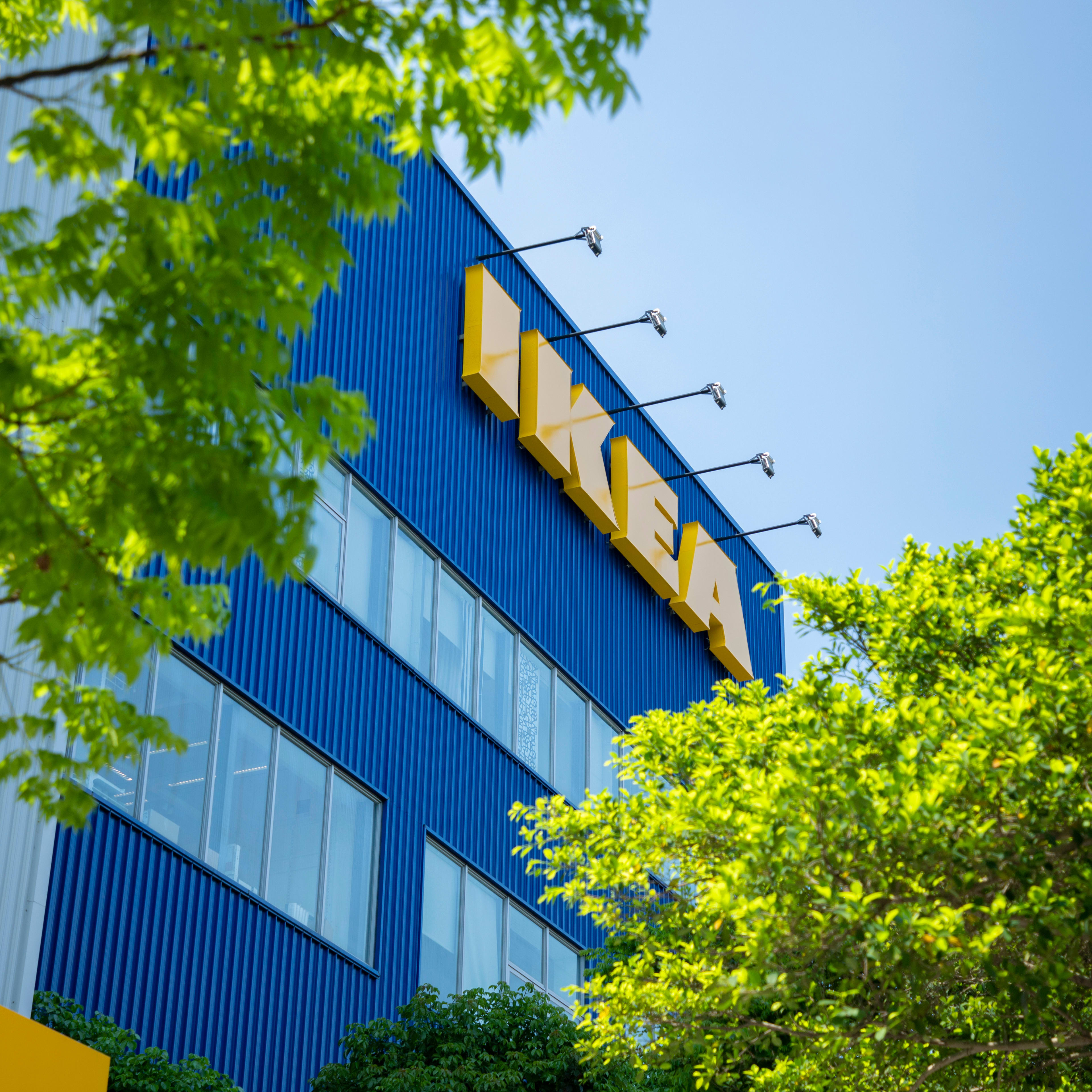 Who Are Jason Momoa & Lisa Bonet's Kids, Lola & Nakoa-Wolf? - Men's Journal