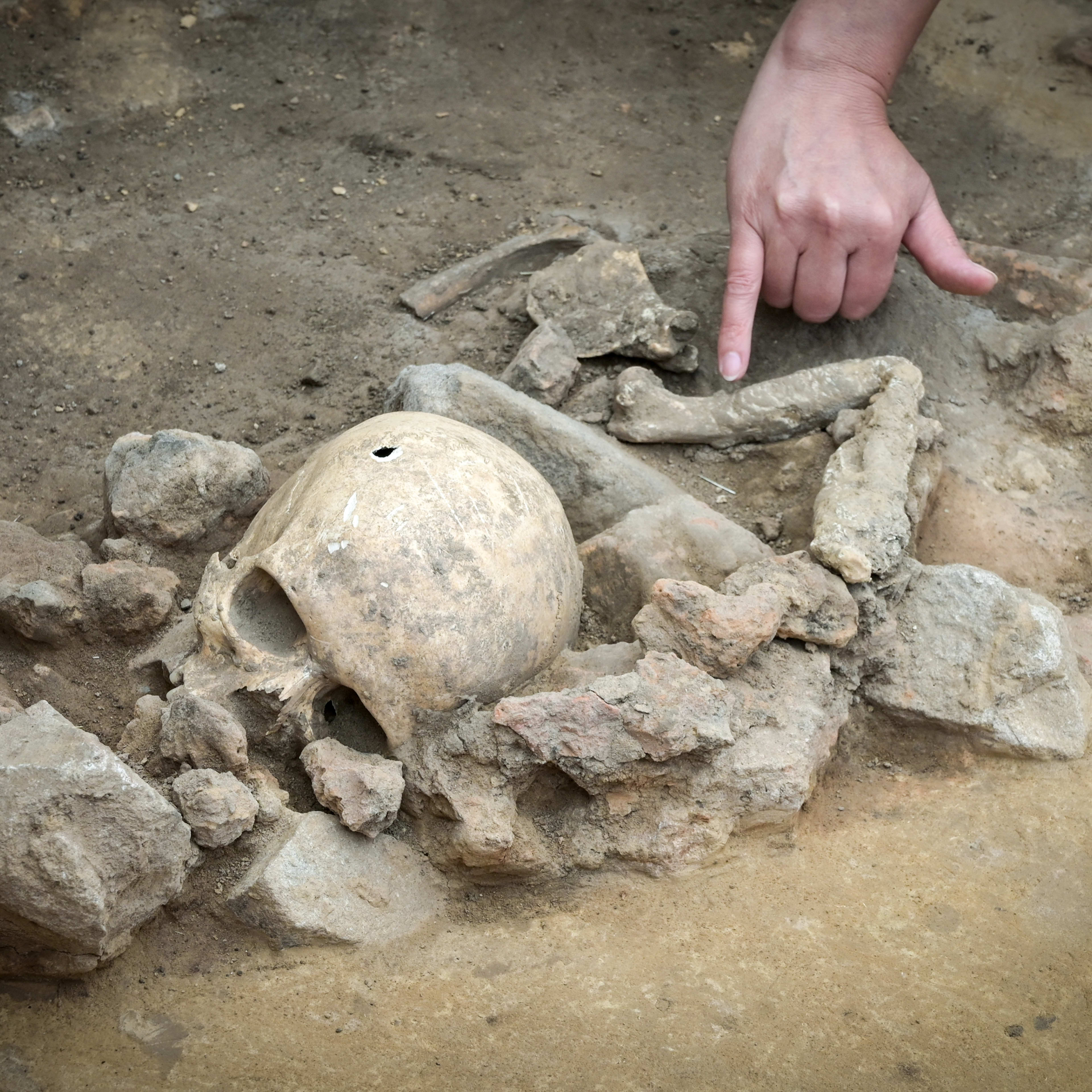 Lumberjack Trick That Builds Core Strength Without Situps - Men's Journal