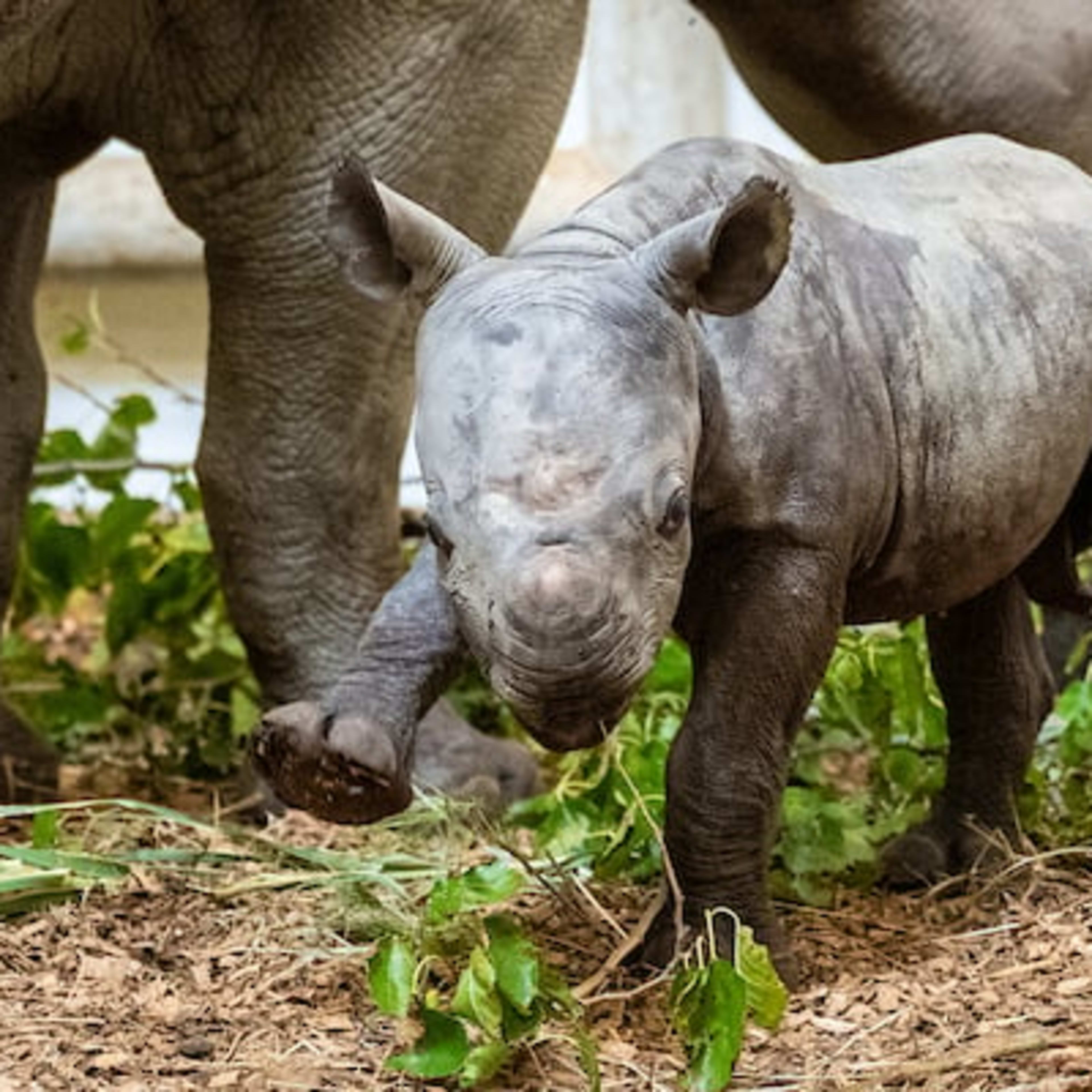 Heady Topper Double IPA Beer Review - Men's Journal