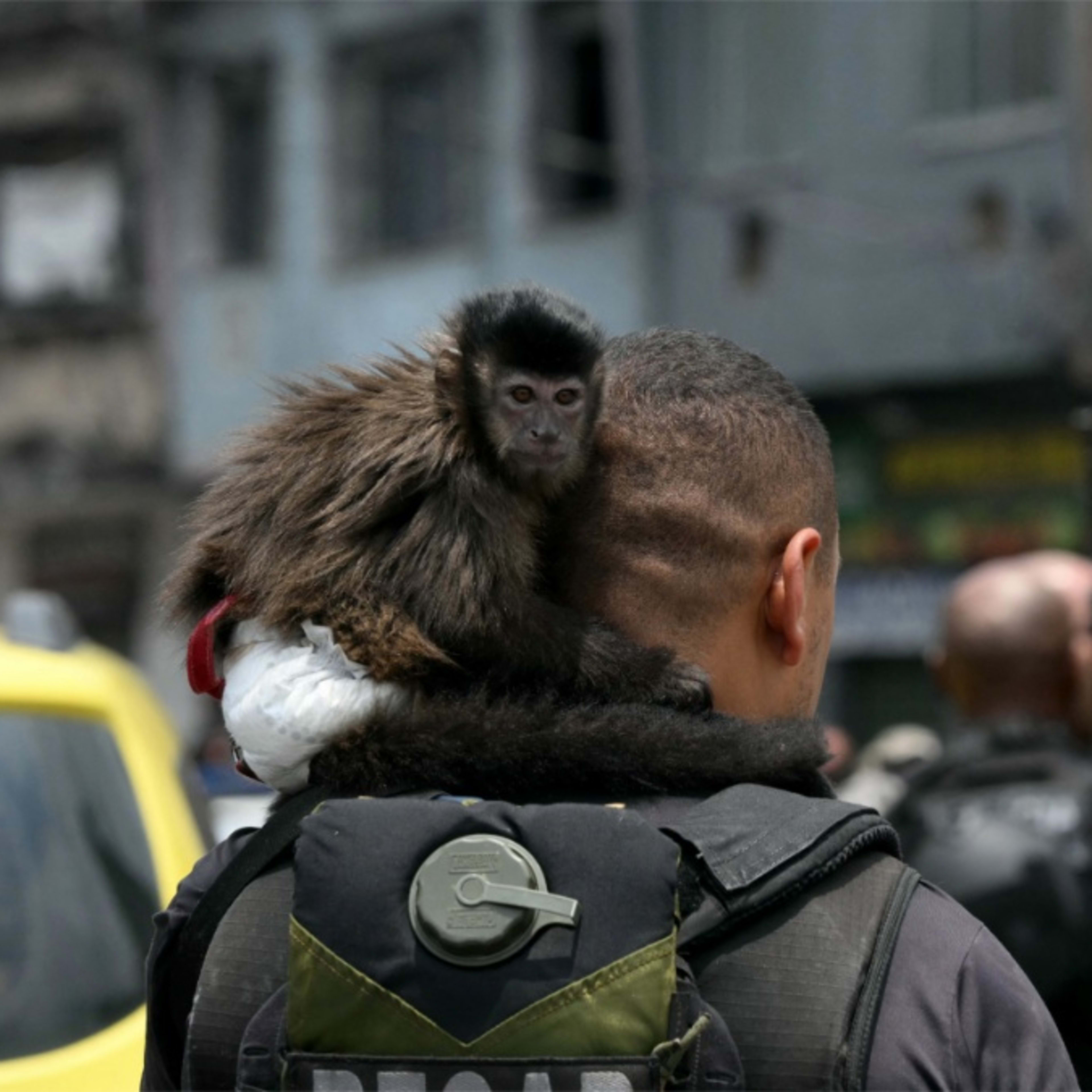 Best Flasks of 2025, Tested and Reviewed - Men's Journal