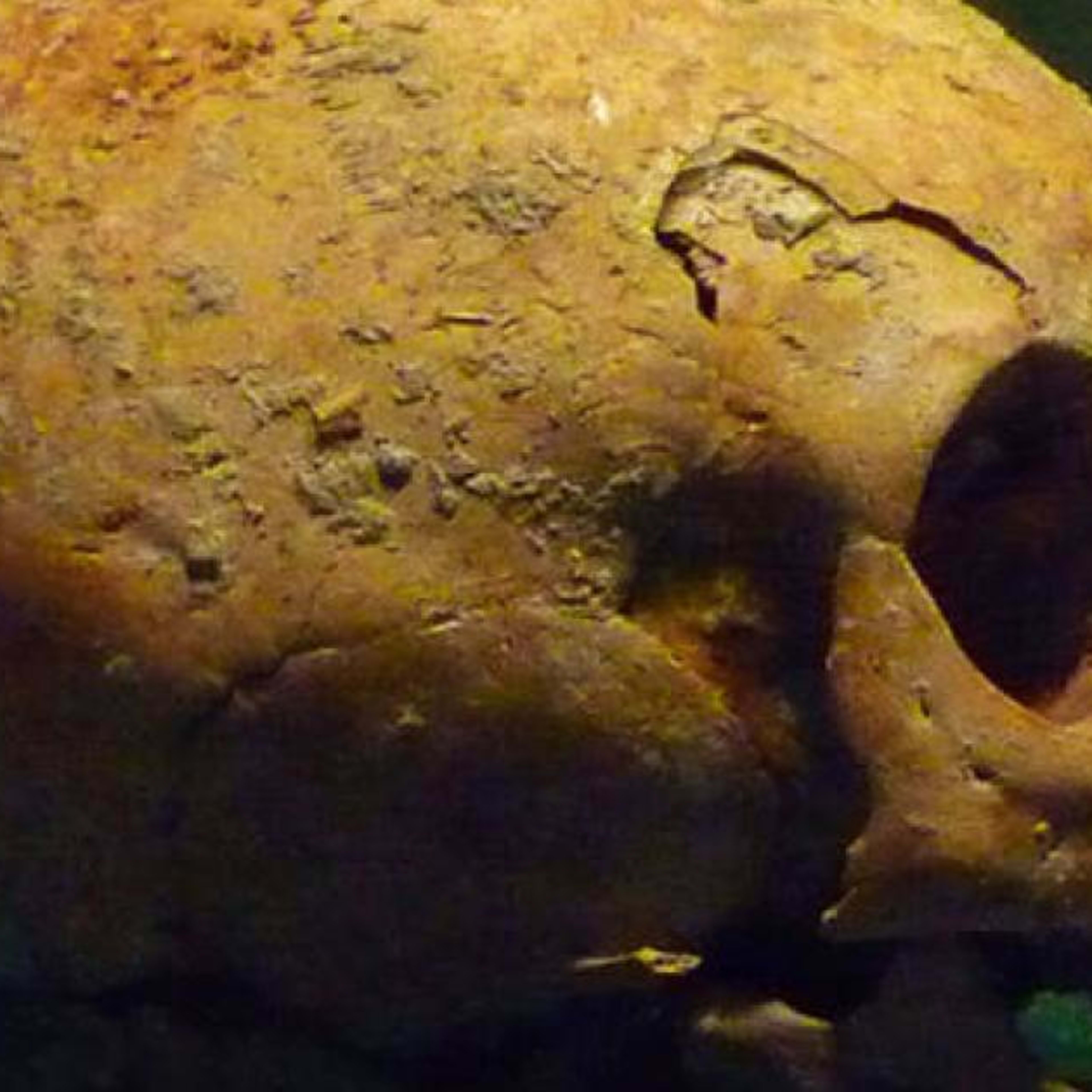 Bizarre Skull Discovery Illuminates Previously Unknown Ancient Ritual ...