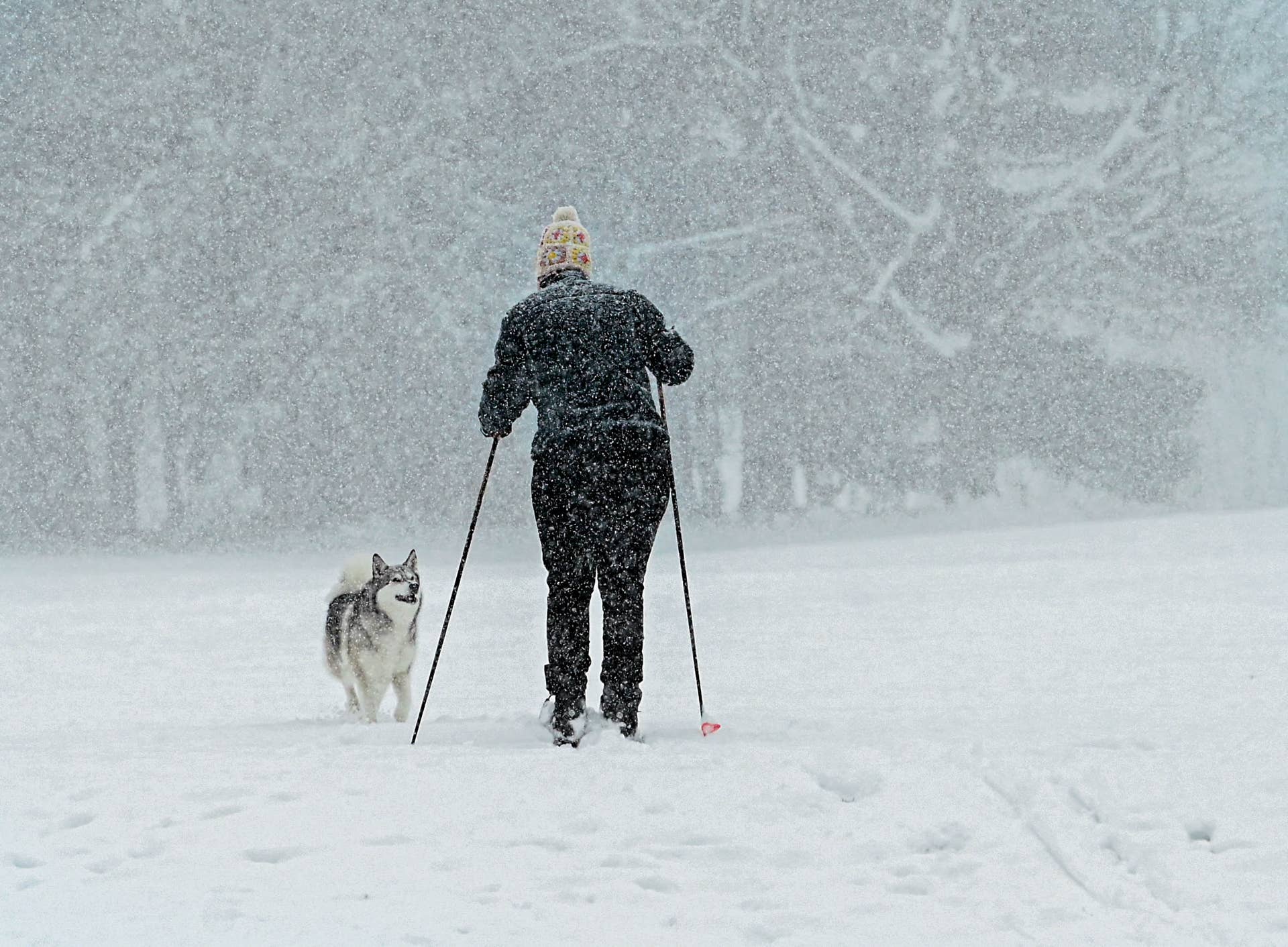 Meteorologist Warns That Extreme Cold Air Is About to Hit the U.S. Like ...