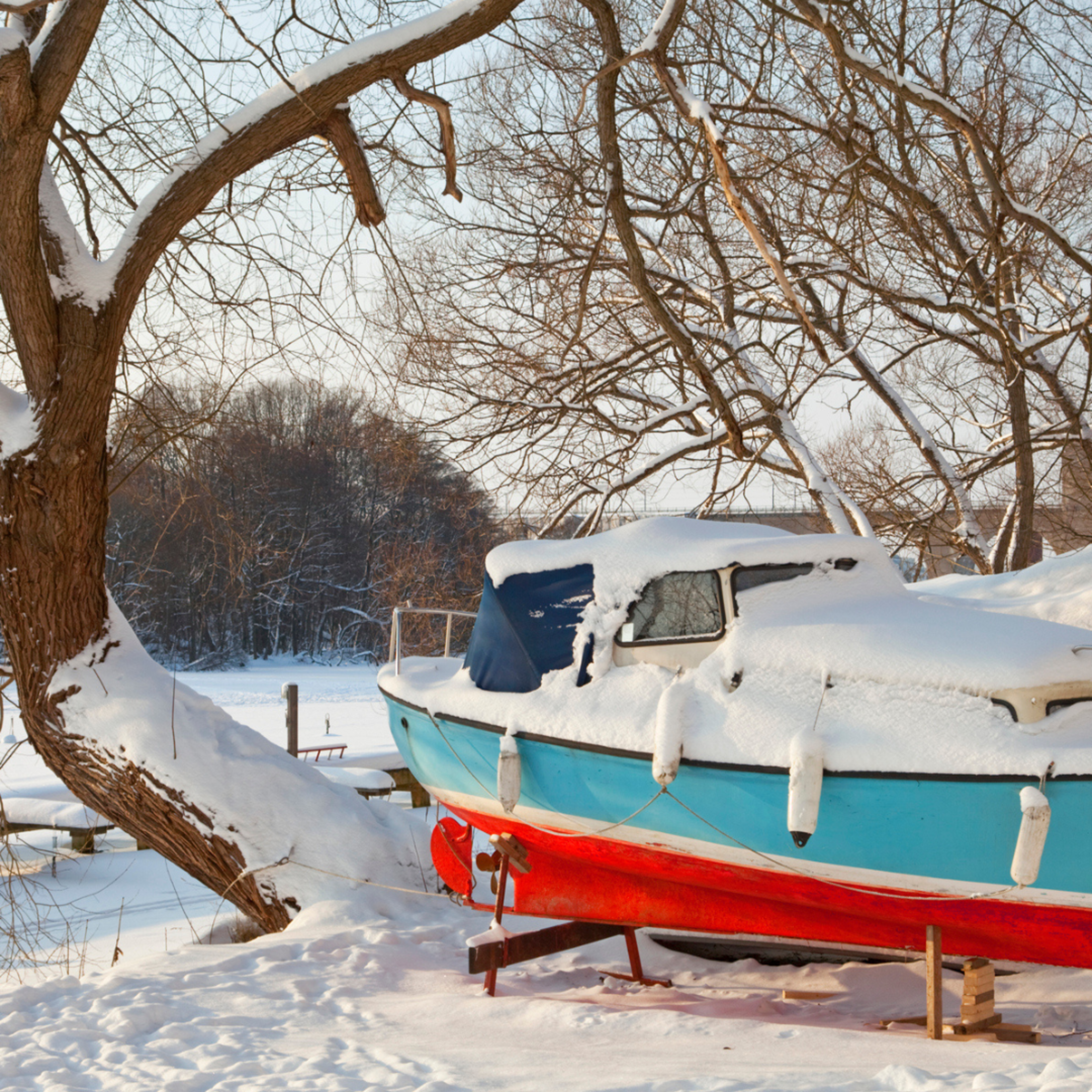 'Jurassic World Rebirth' Rotten Tomatoes Score Is Good, With a Catch ...