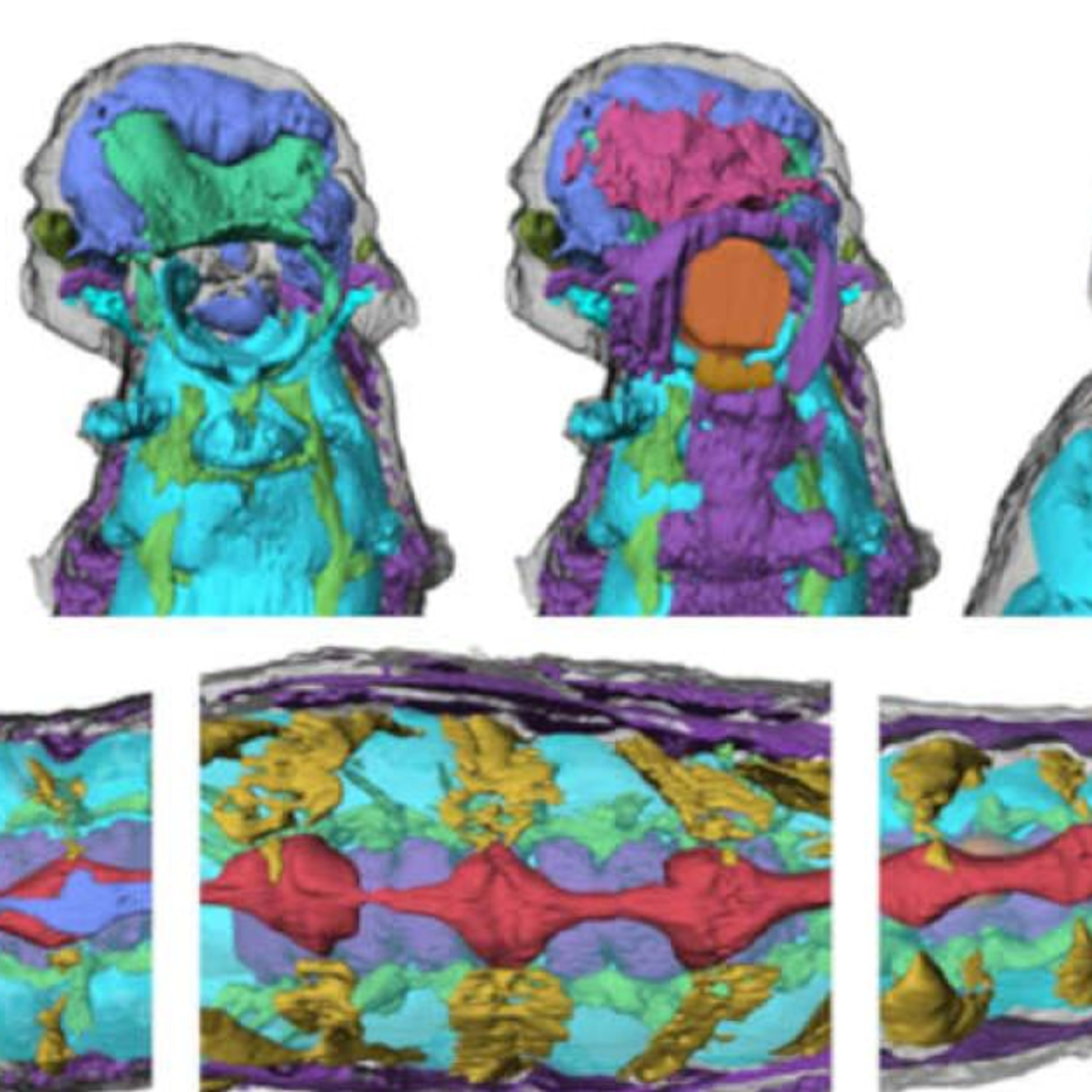 Southwest Announces 3 Major Changes Ahead of Thanksgiving Travel - Men ...
