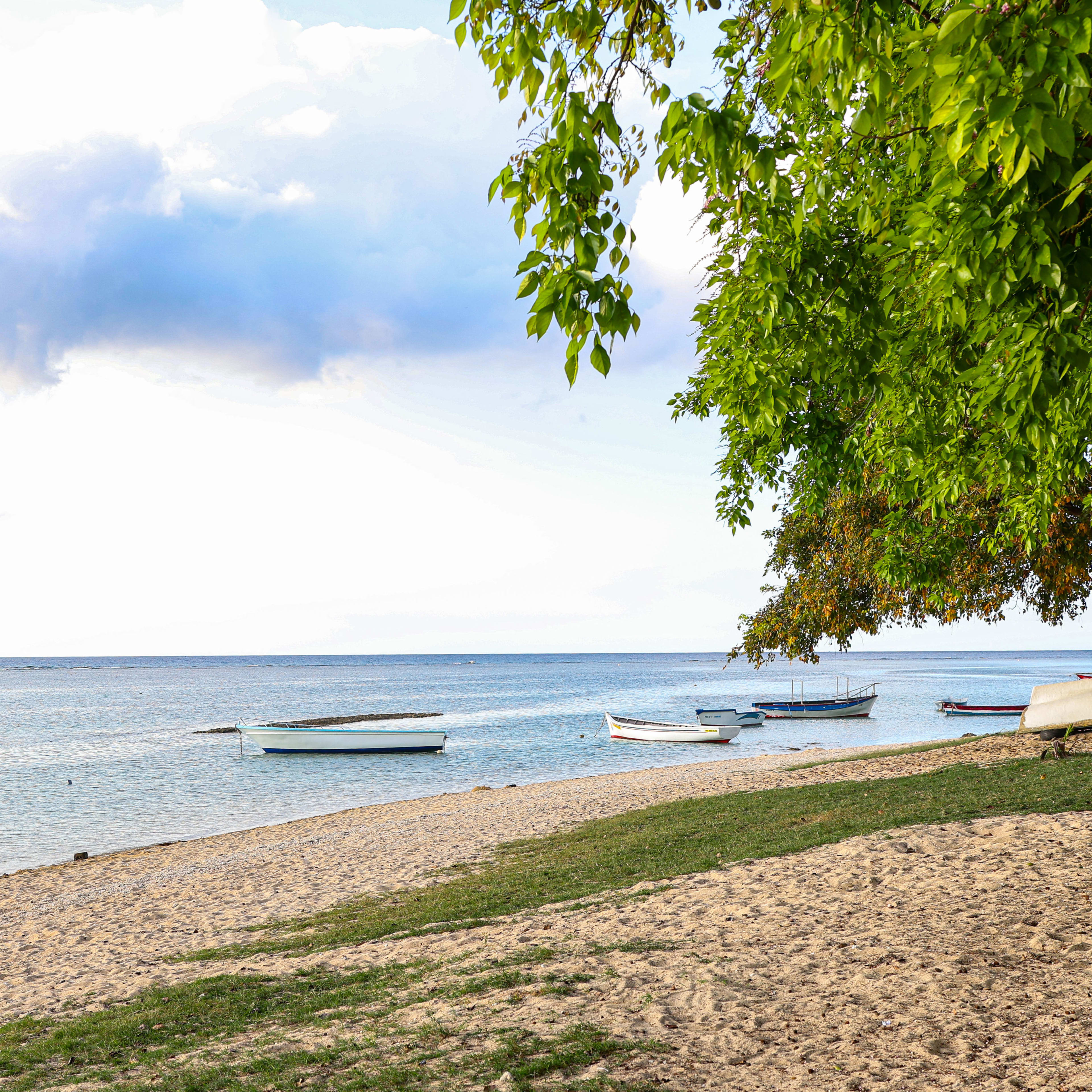 Rob Gronkowski Shares Heartfelt Tribute For Former Patriots Cheerleader ...