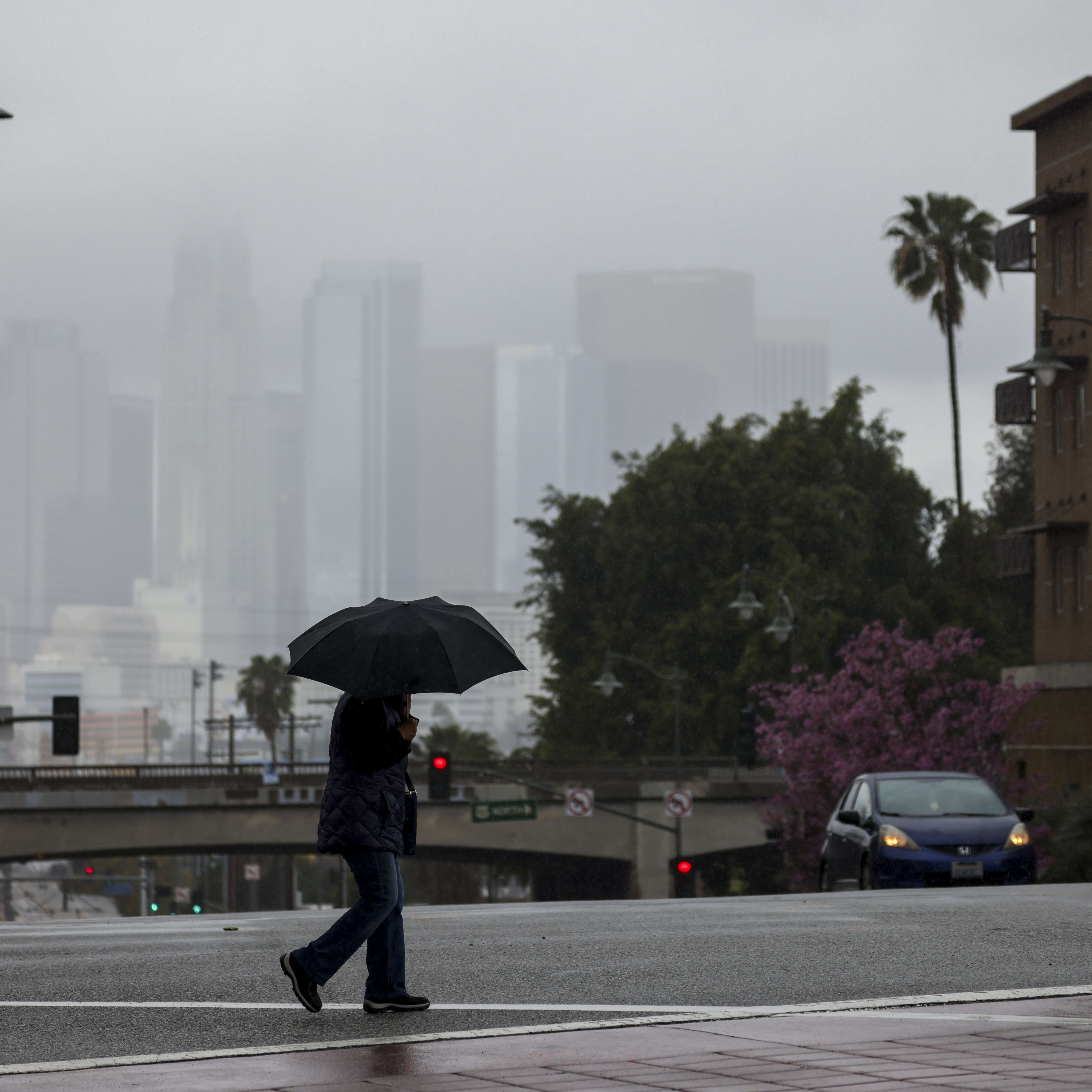 Loni Anderson, Husband Bob Flick Married After Burt Reynolds' Divorce ...