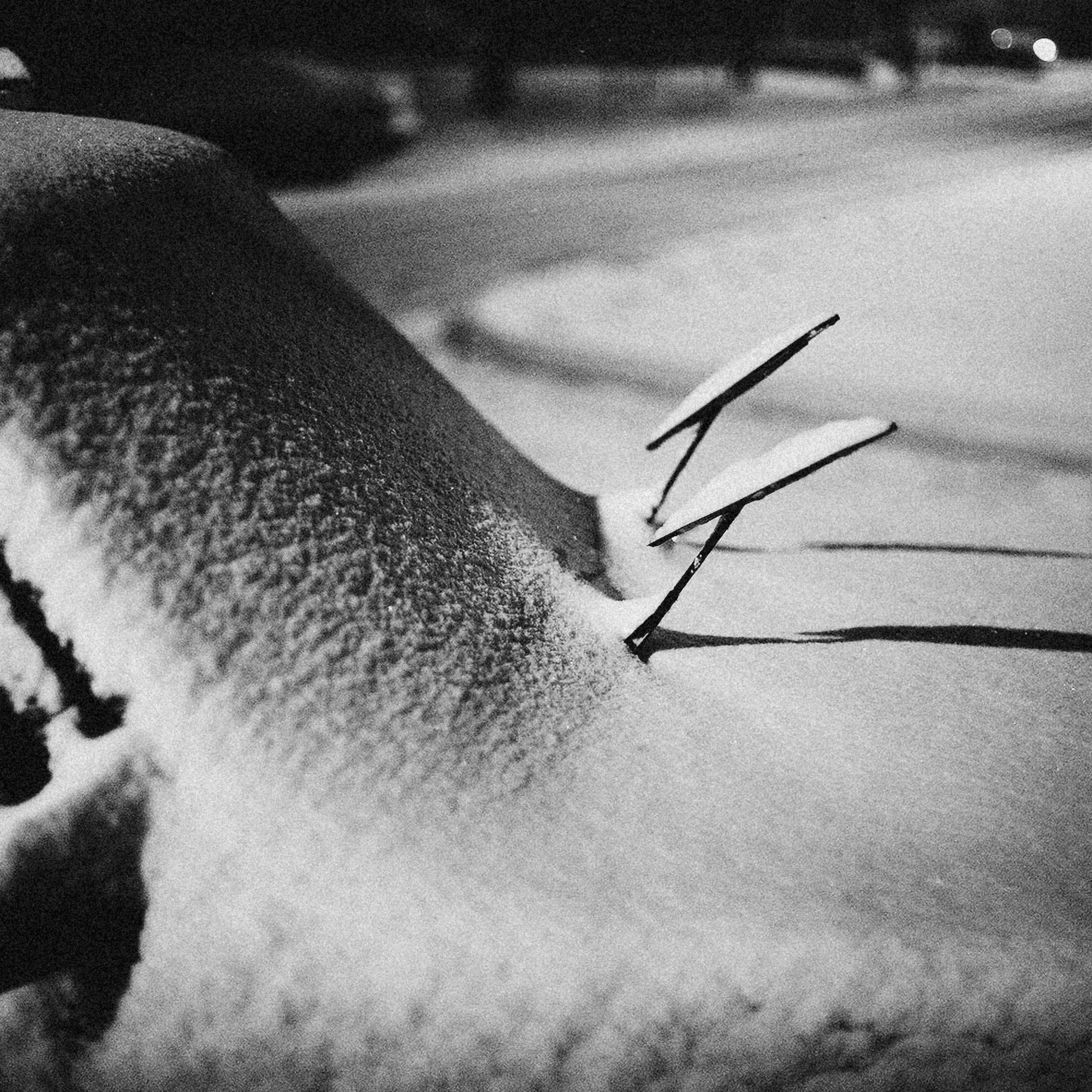 Extreme Mountain Biking Influencer Dies at 48 After Falling Into Ravine ...