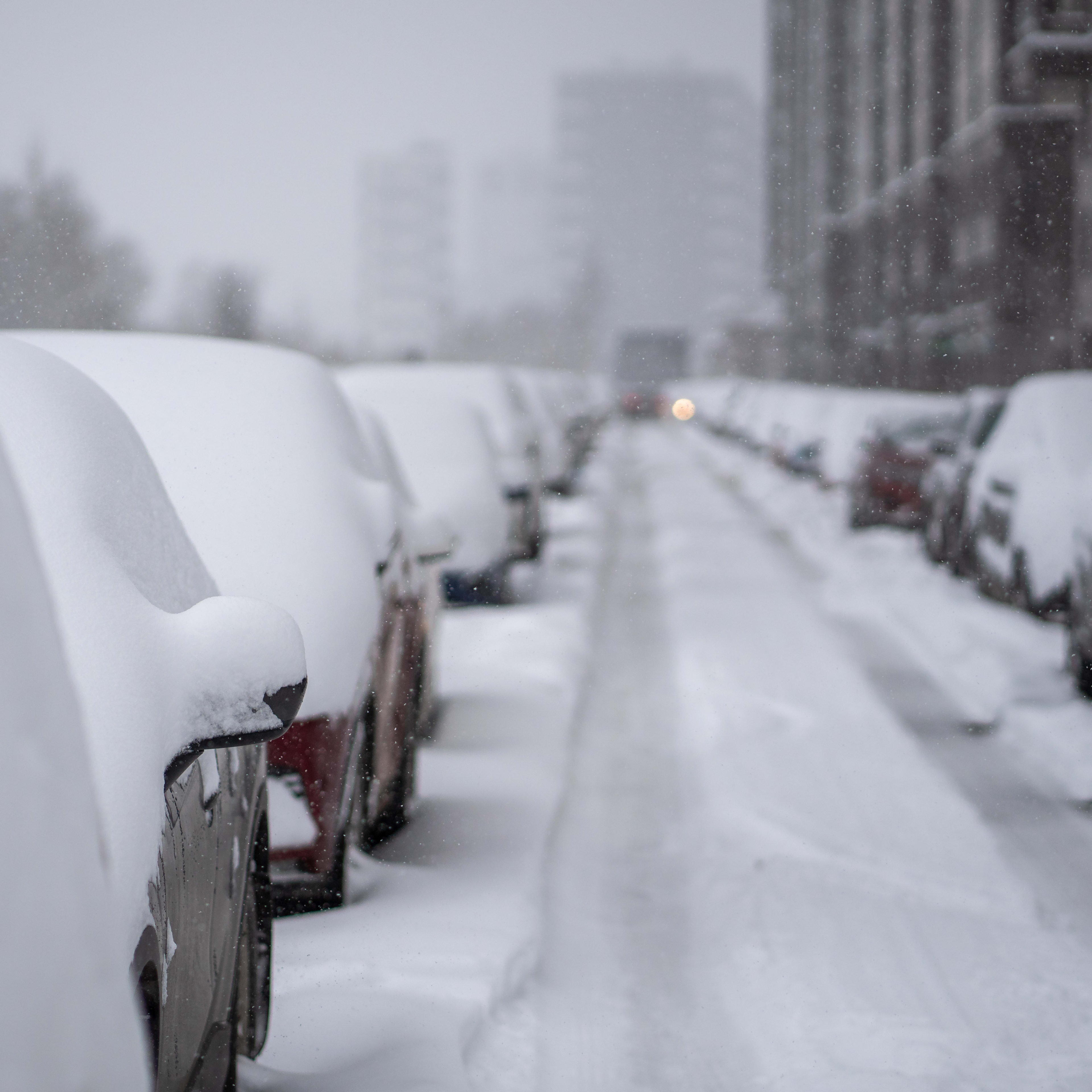 'Bosch: Legacy' Season 4? Here's What To Know About 'Ballard' - Men's ...