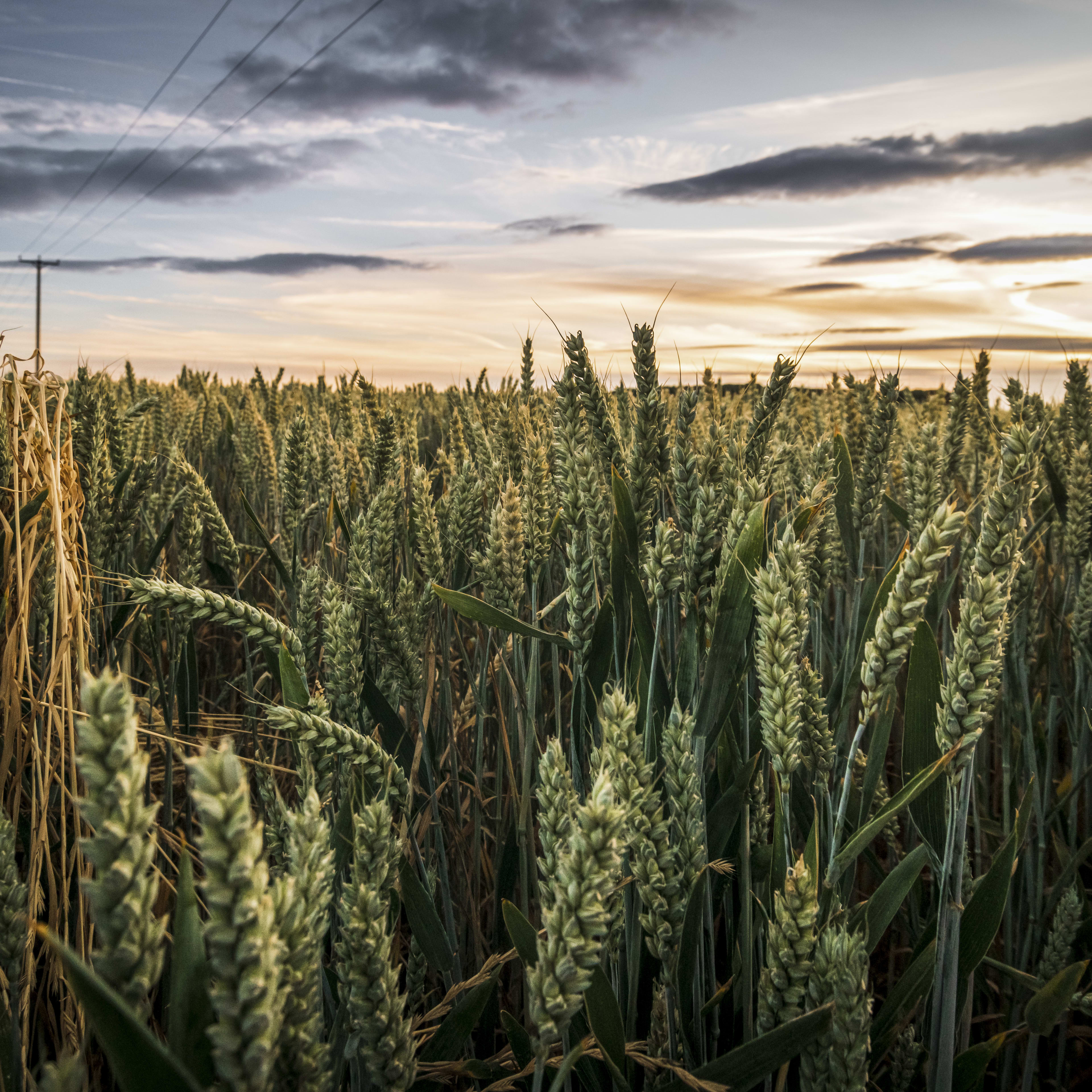 Ford's Critical Aluminum Plant Was Struck By Another Fire - Men's Journal