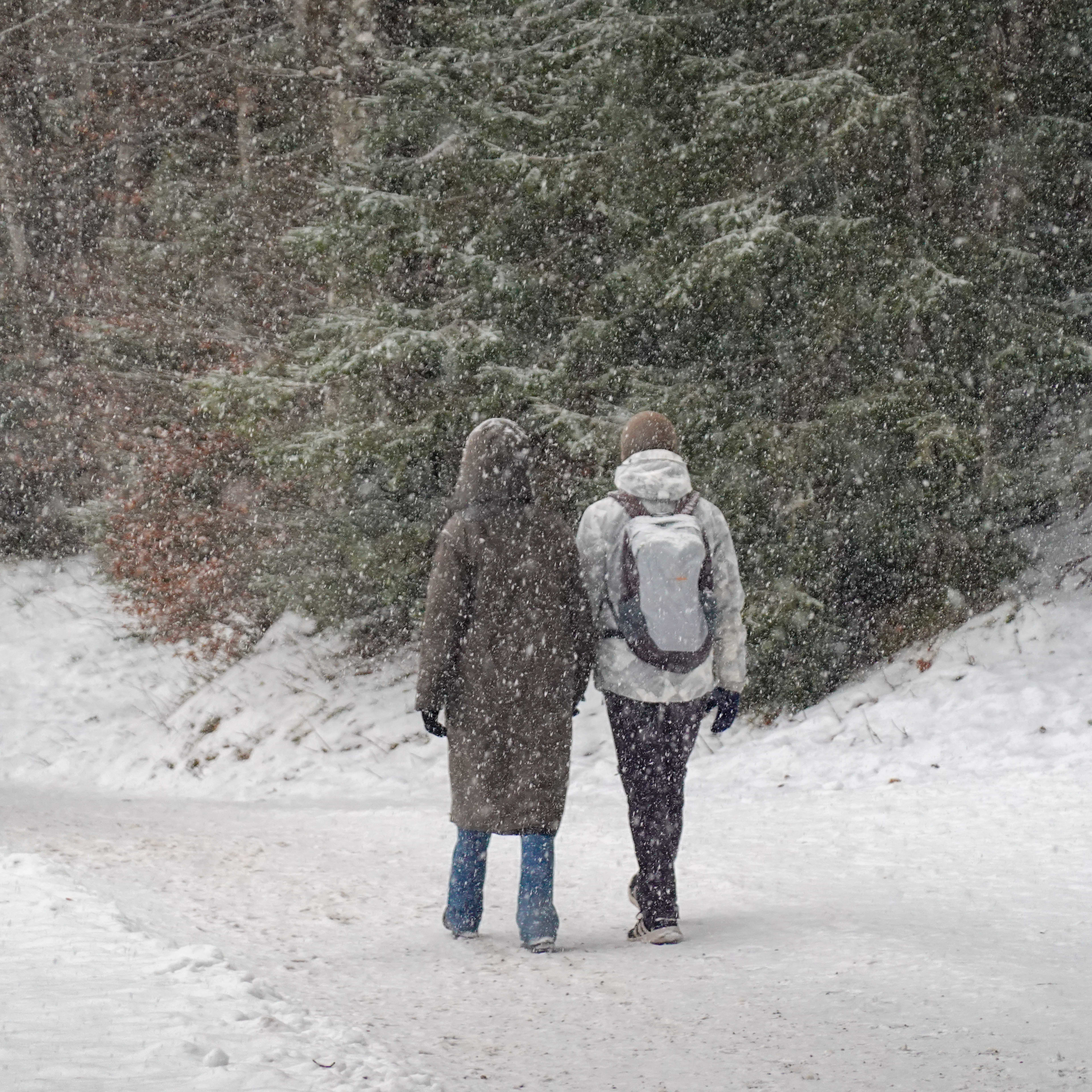 Woman and Her Dog Survive Frozen Lake Fall Thanks to a Tree Branch ...