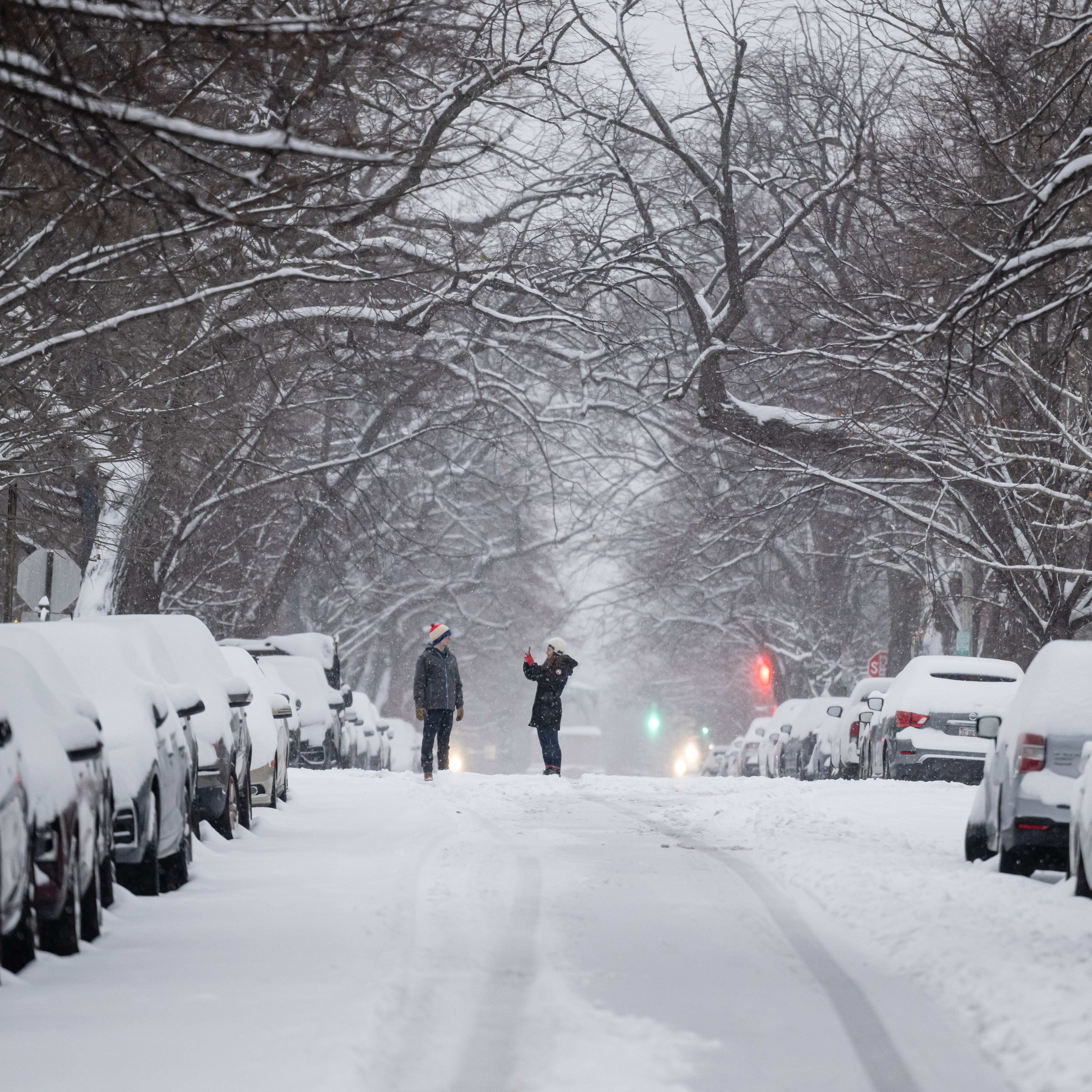Exploding Trees? Midwesterners Receive Extreme Cold Watch Warnings ...