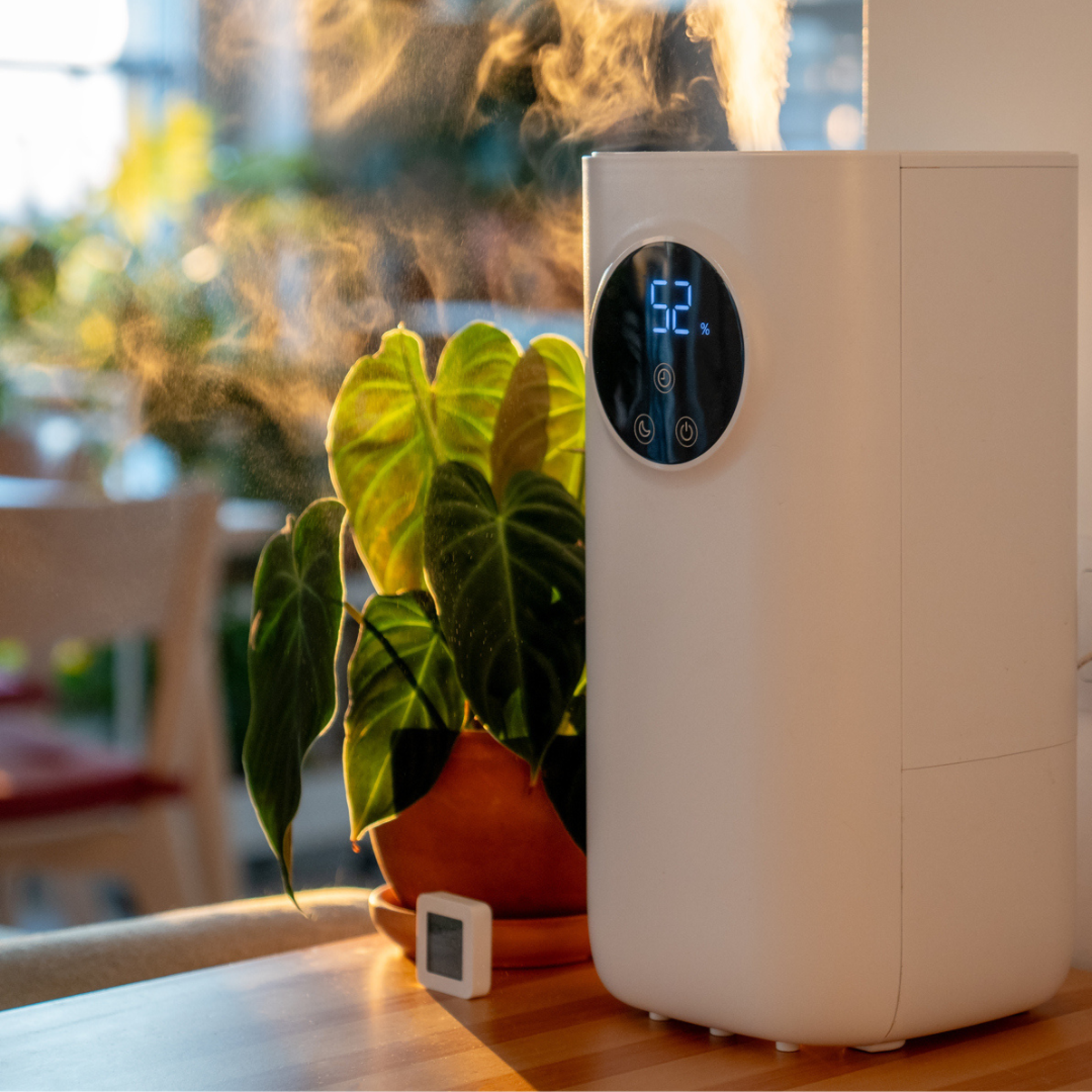 Air Purifier vs Humidifier: Pros, Cons & Benefits Explained - Men's Journal