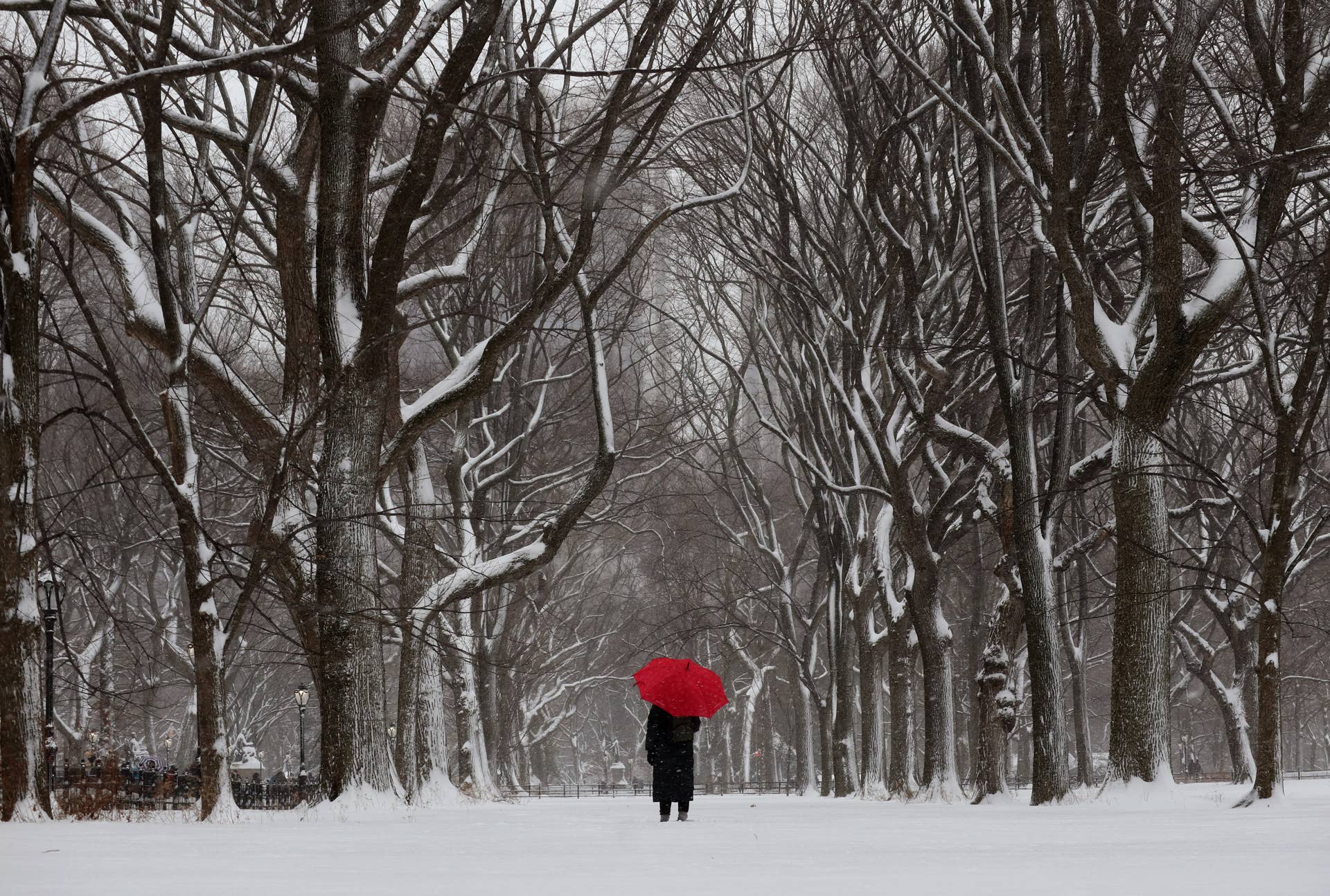 Winter Weather Warning Issued as 20 Inches of Snow, 80 mph Winds ...