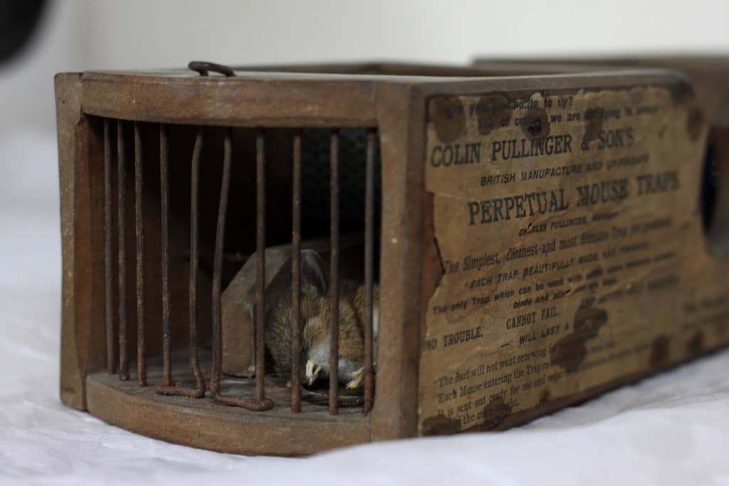 155-year-old mousetrap on display in museum traps a mouse - Men's Journal