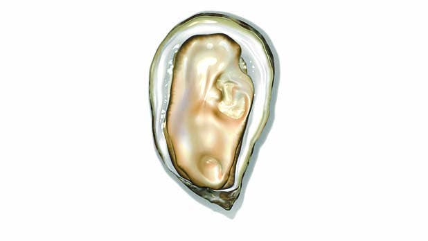 A Shucker's Guide to Ordering Oysters - Men's Journal