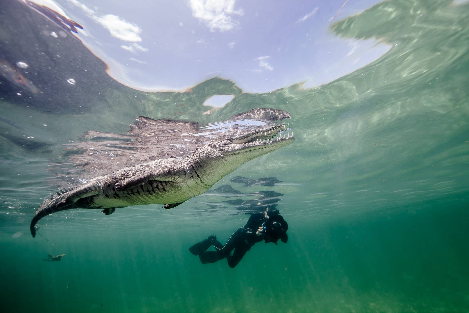 Snorkeler comes face to face with crocodiles | GrindTV.com - Men's Journal