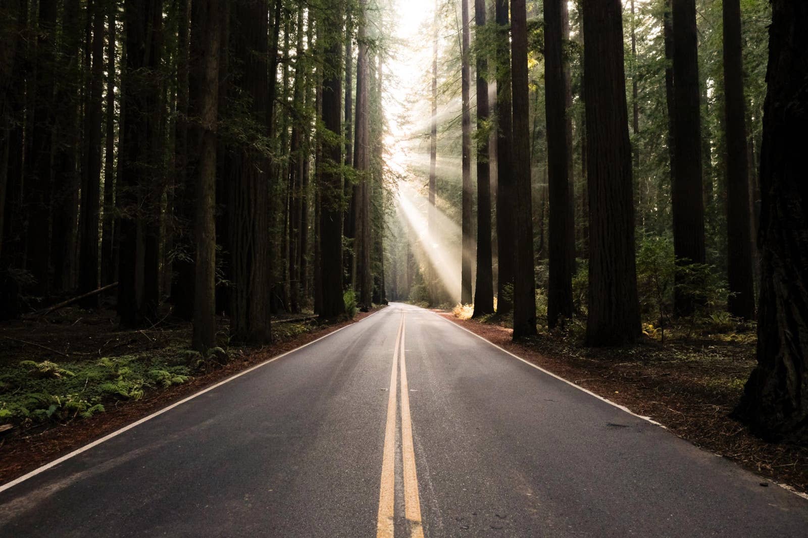 California Road Trip Planner: The Best Views, Trails, and Campgrounds ...