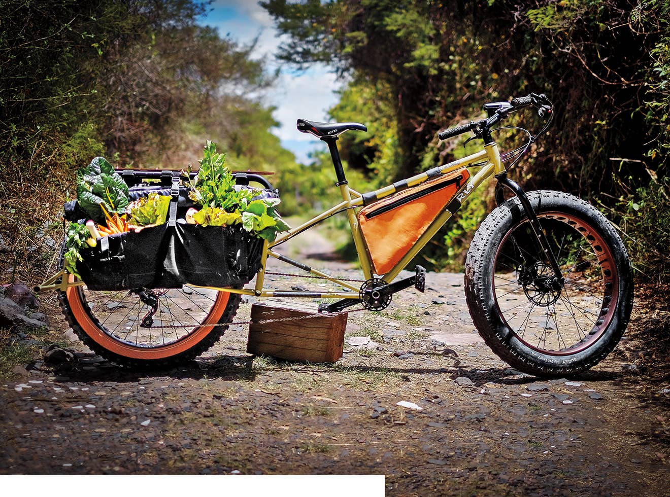 The Best New Cargo Bikes for Every Situation 2018 - Men's Journal