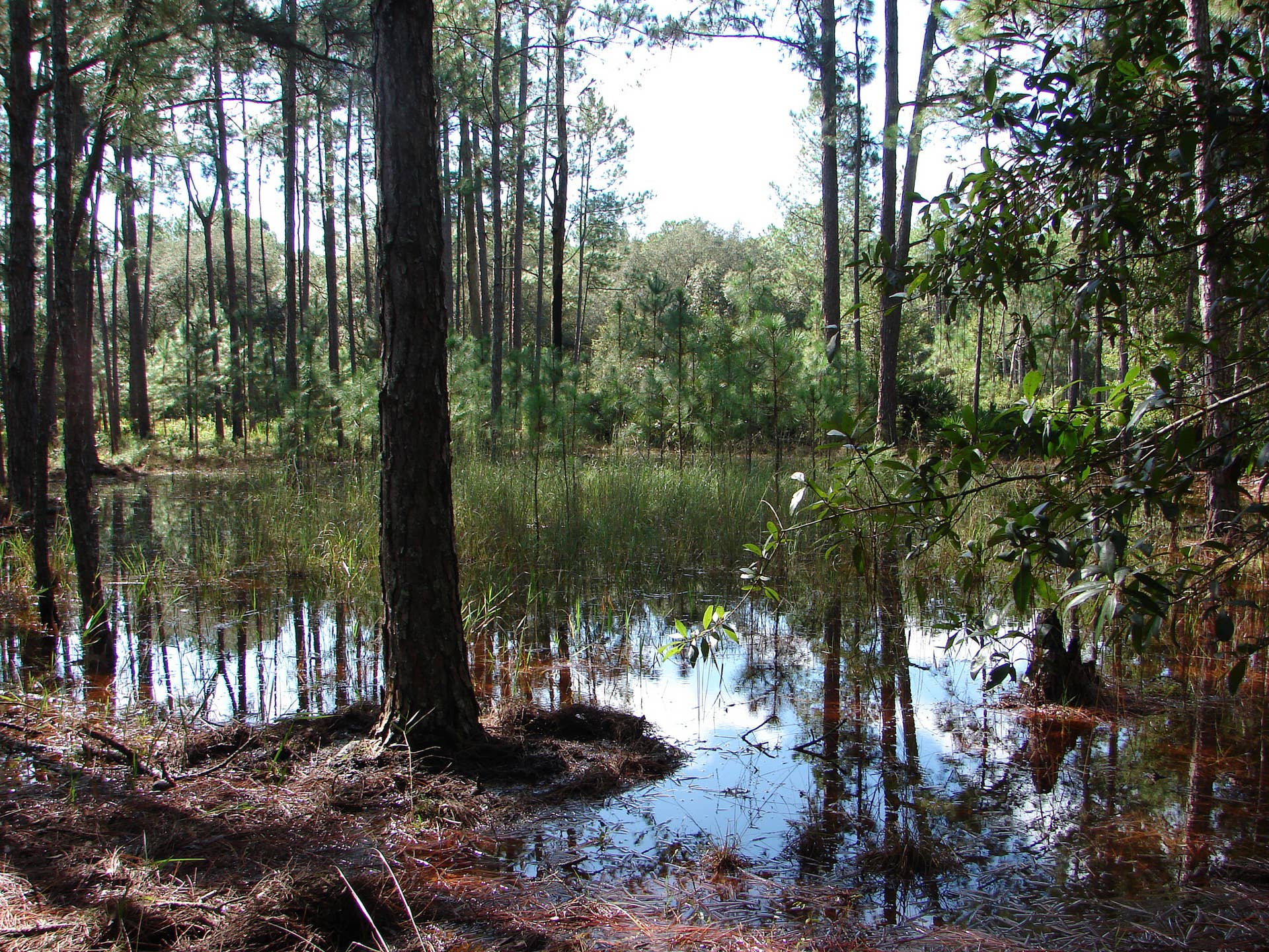 8 Swamp Paddling Getaways - Men's Journal
