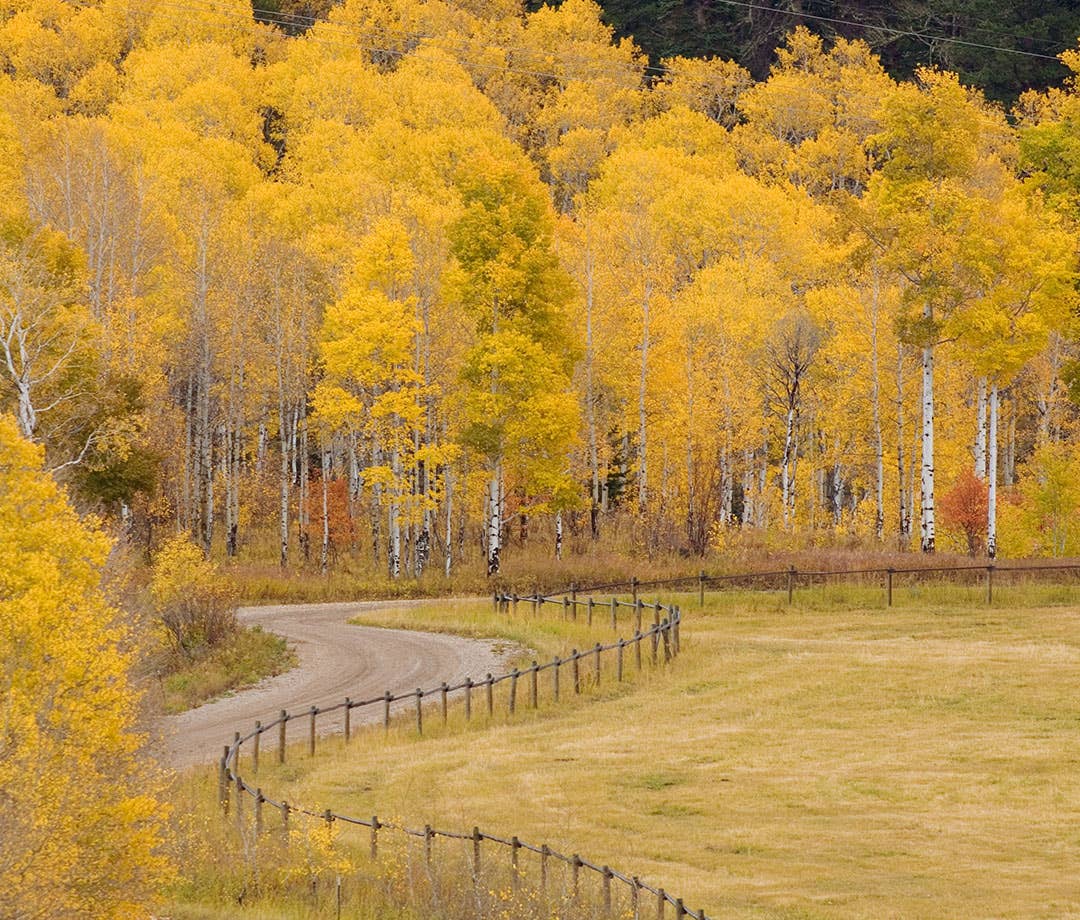 52 Fall Weekend Trip Ideas to Make the Most Out of Autumn - Men's Journal