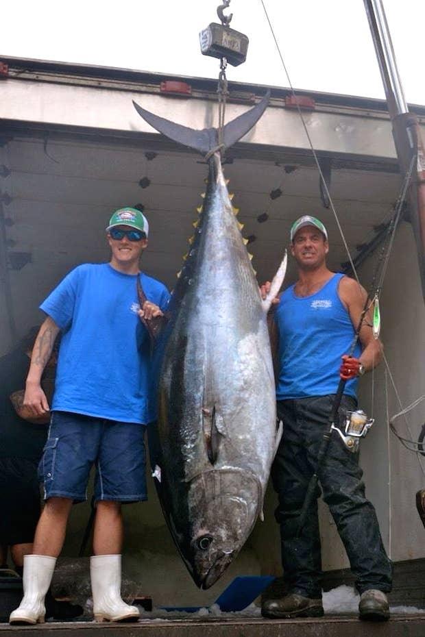 597-pound bluefin tuna caught on spinning rod - Men's Journal