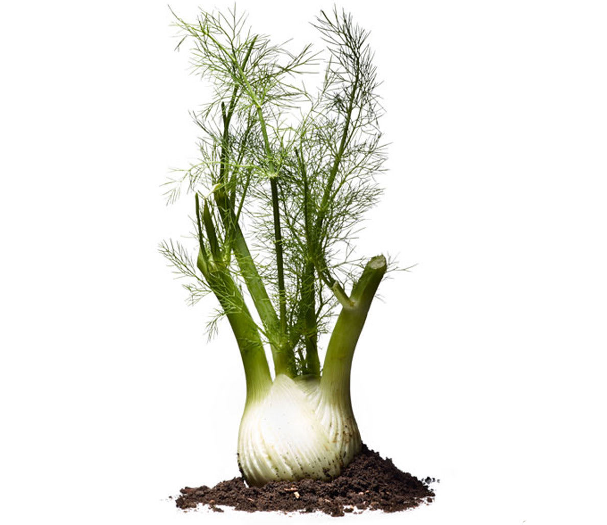 9 foods that will beat belly bloat in 2 days - Men's Journal