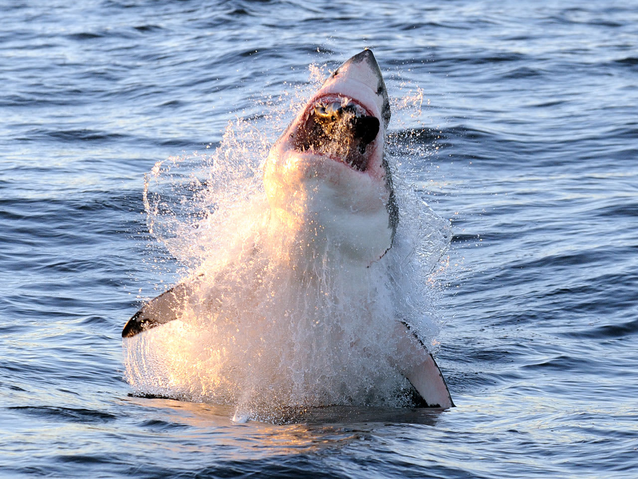 The 10 Most Extreme Big-wave Surfing Destinations - Men's Journal