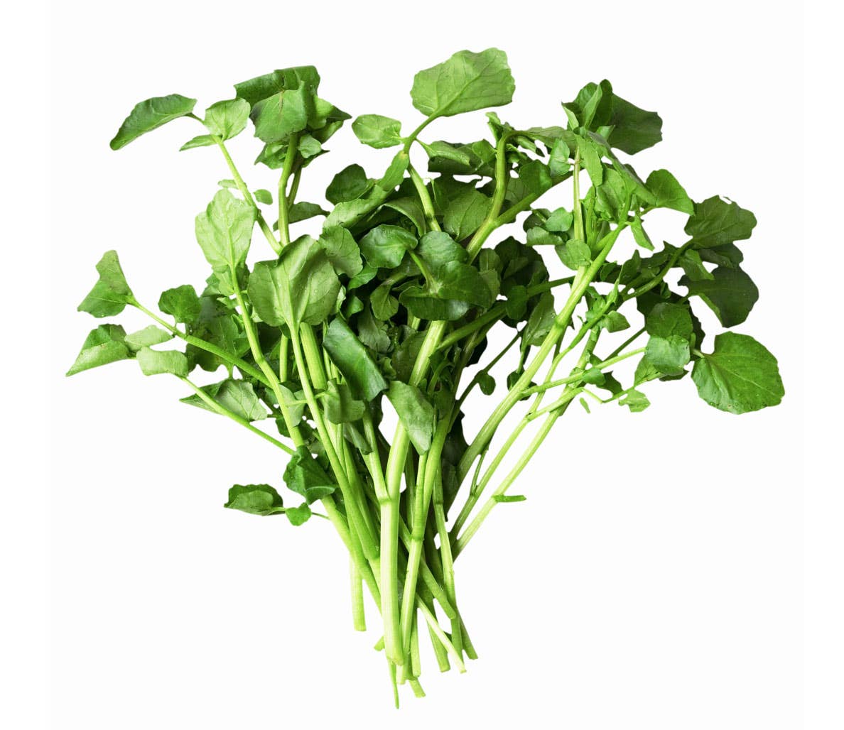 15 seasonal spring foods you should eat right now - Men's Journal