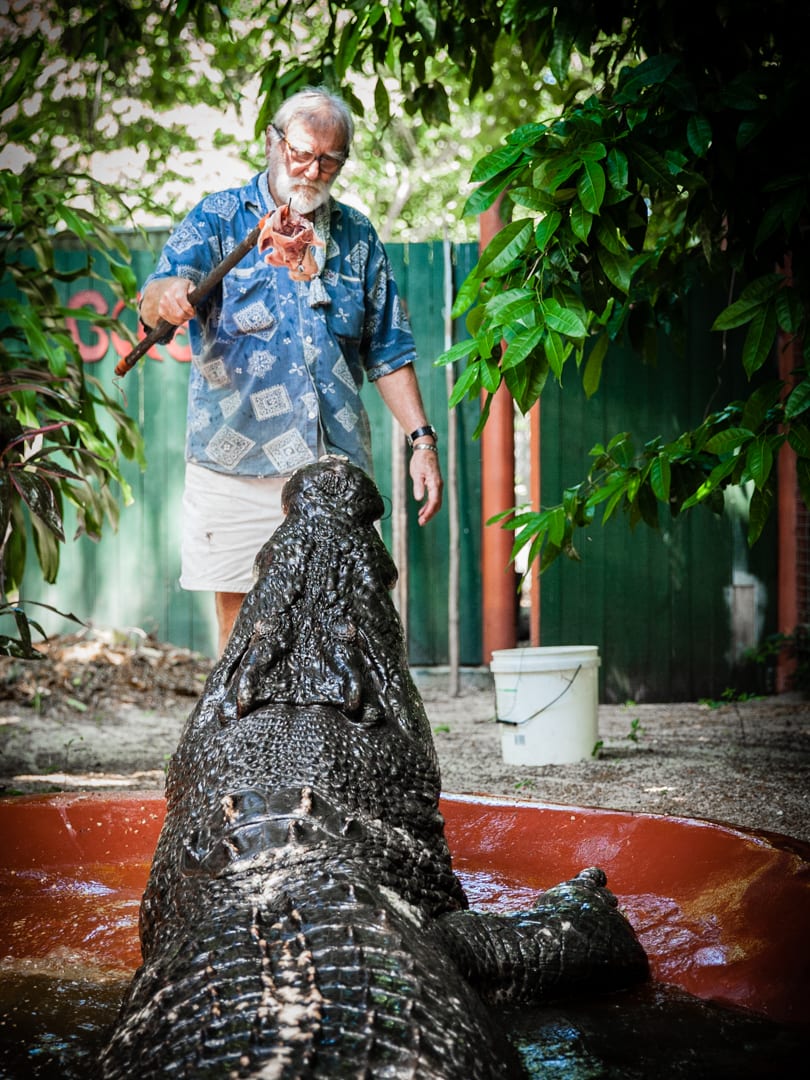 Largest crocodile in captivity shown in photos - Men's Journal