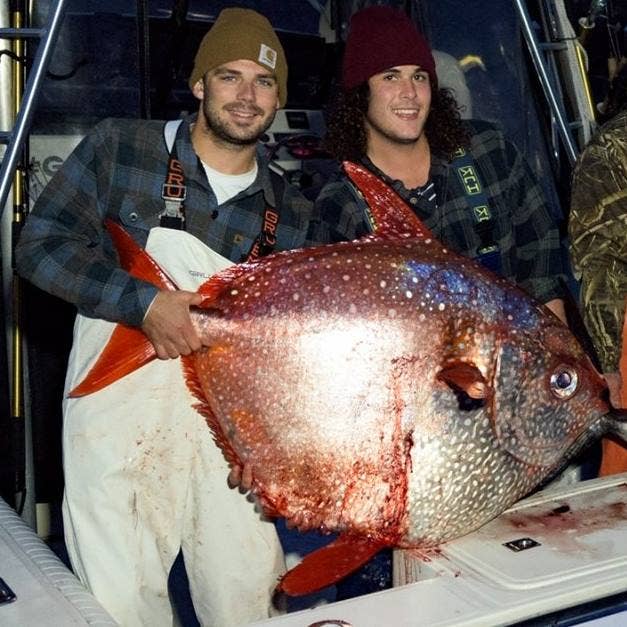 Maryland anglers reel in extremely rare opah 'moonfish'; photos - Men's ...