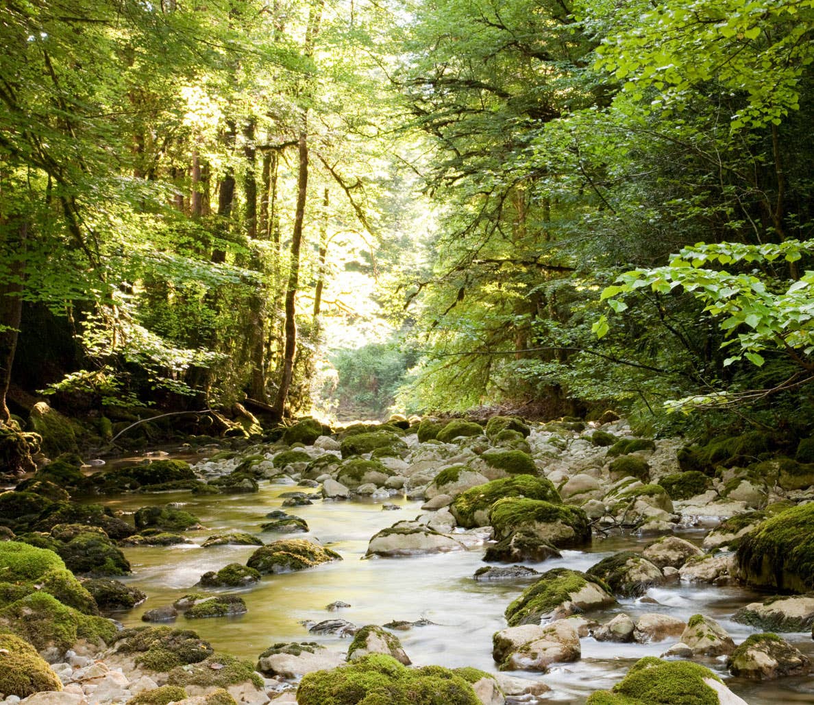 12 Outdoor Survival Skills You Should Know - Men's Journal