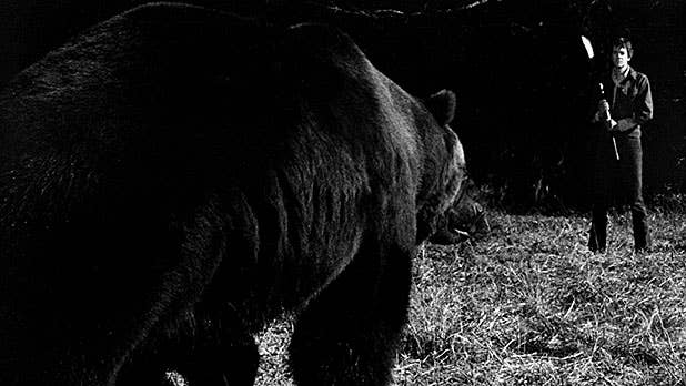 The 10 Best Bear Movies, Ranked by Realism - Men's Journal